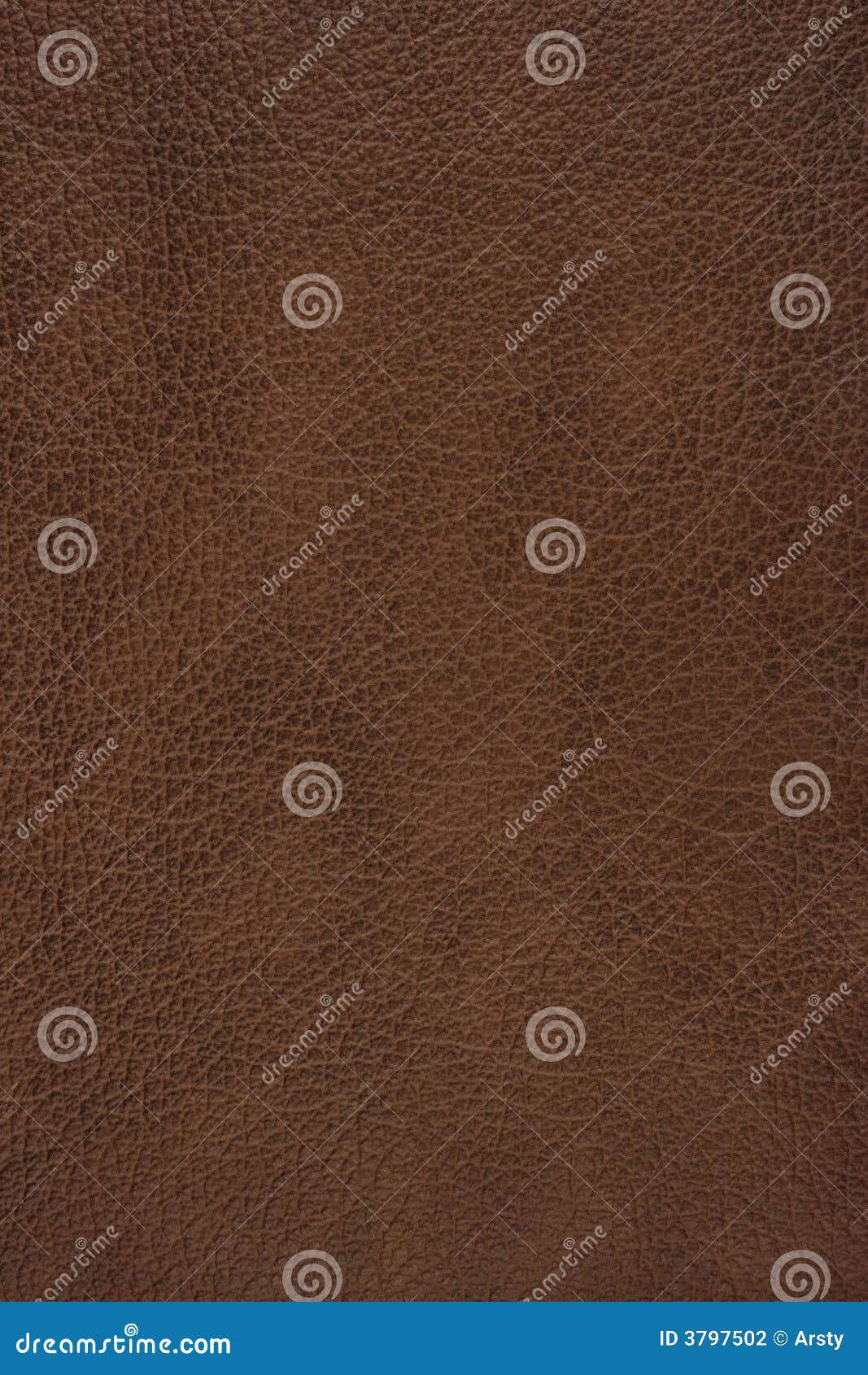 Texture en cuir de Brown photo stock. Image du brun, couleur - 3797502