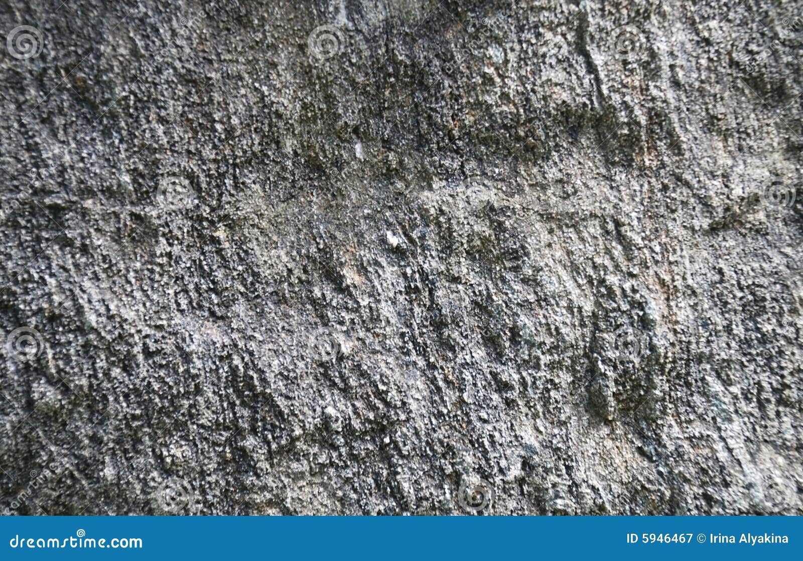 Texture en pierre grise image stock. Image du herbe, normal - 5946467