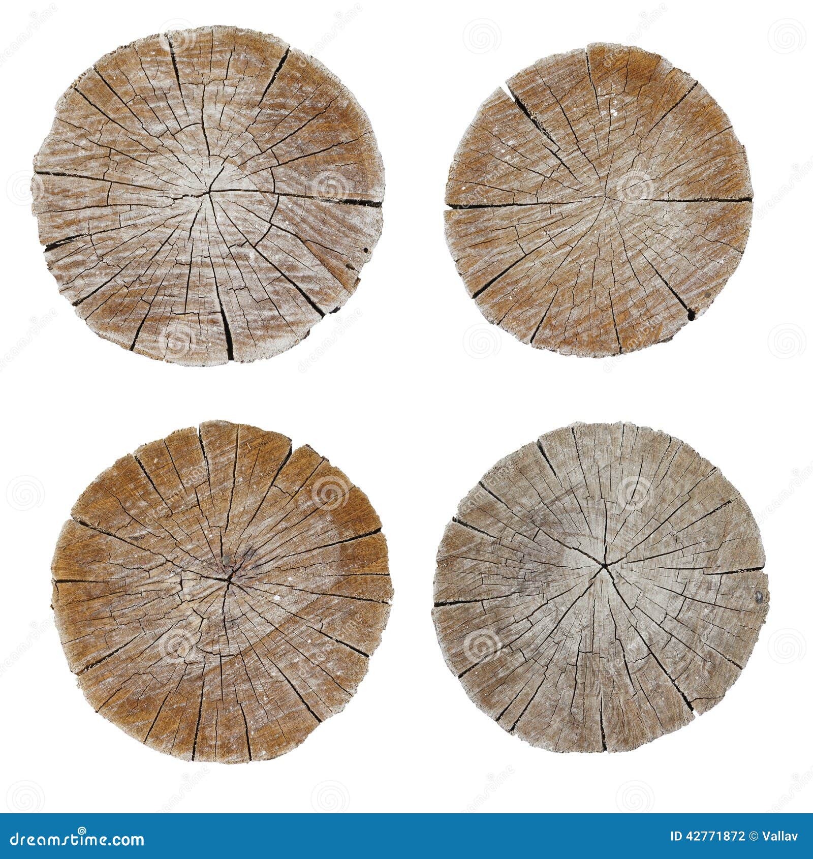 Texture the end of the log stock photo. Image of unique - 42771872