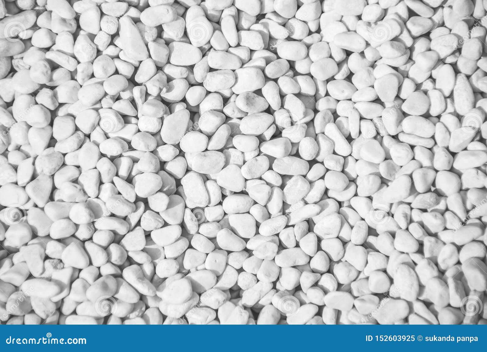 Texture Et Fond Blancs De Pierre De Caillou Image stock - Image du ...