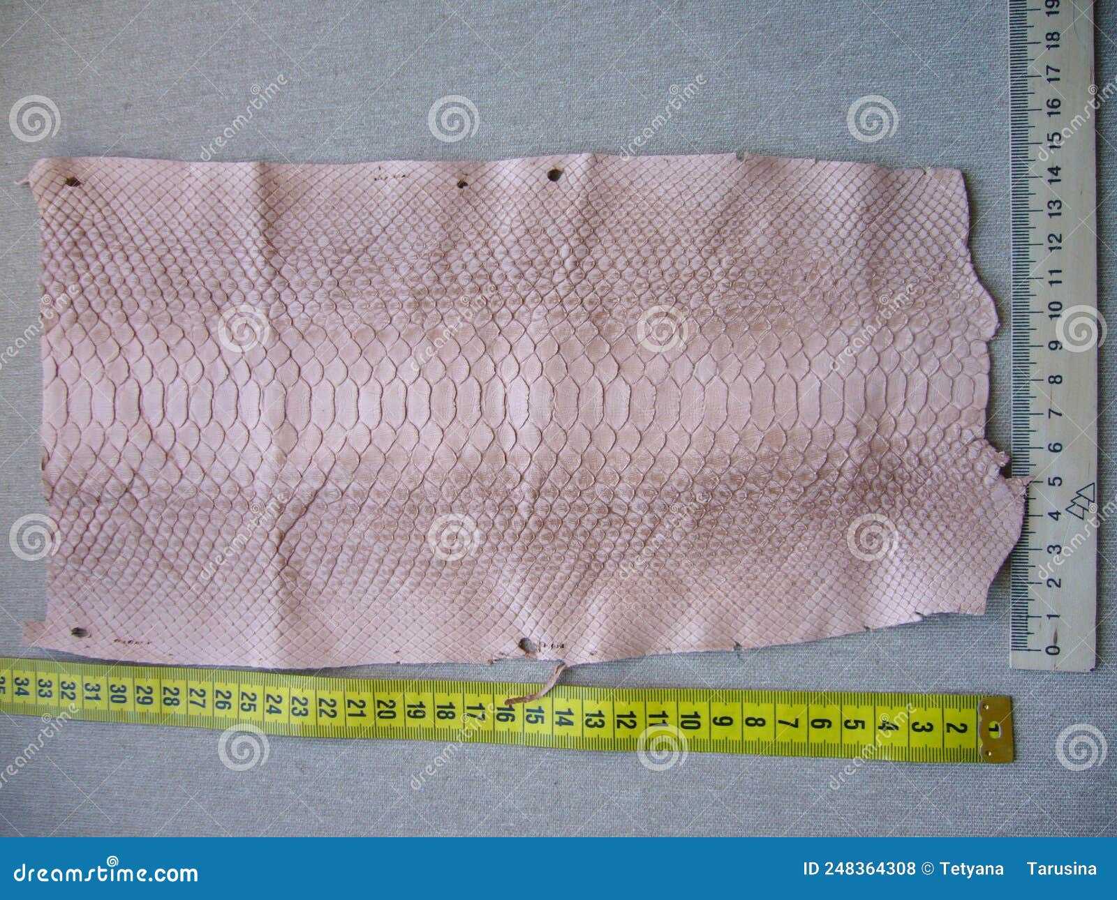 Texture of Exotic Leather. the Skin of a Python, a Snake is Pink, Flesh ...