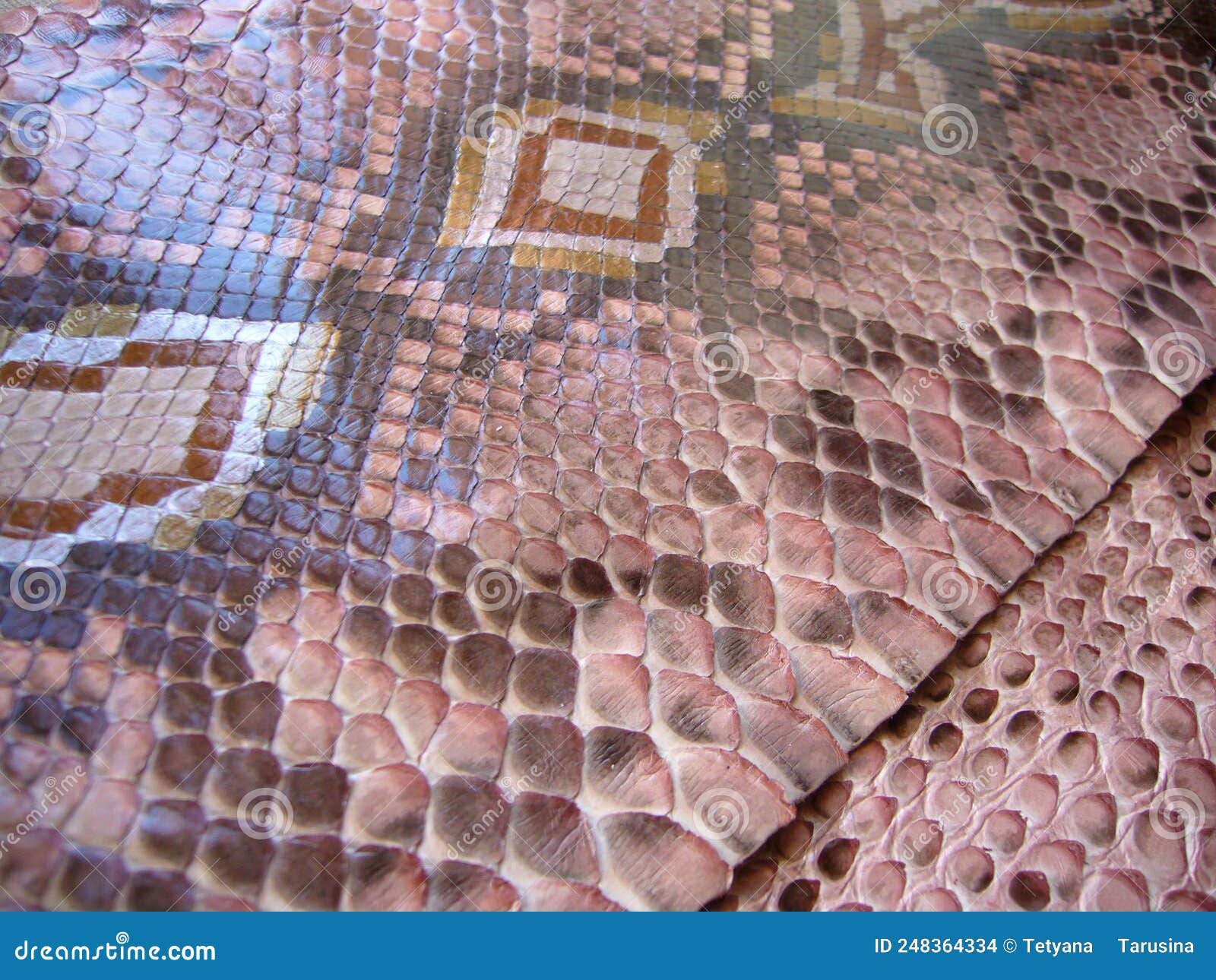 Texture of Exotic Leather. the Skin of a Python, a Snake is Pink, Flesh ...