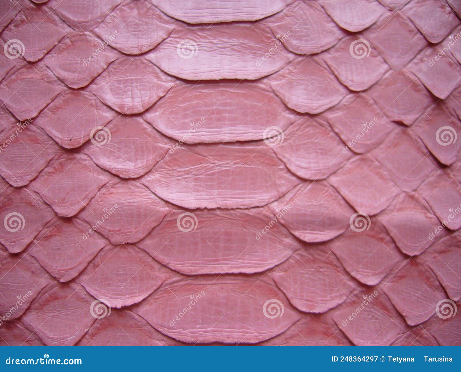 Texture of Exotic Leather. the Skin of a Python, a Snake is Pink, Flesh ...