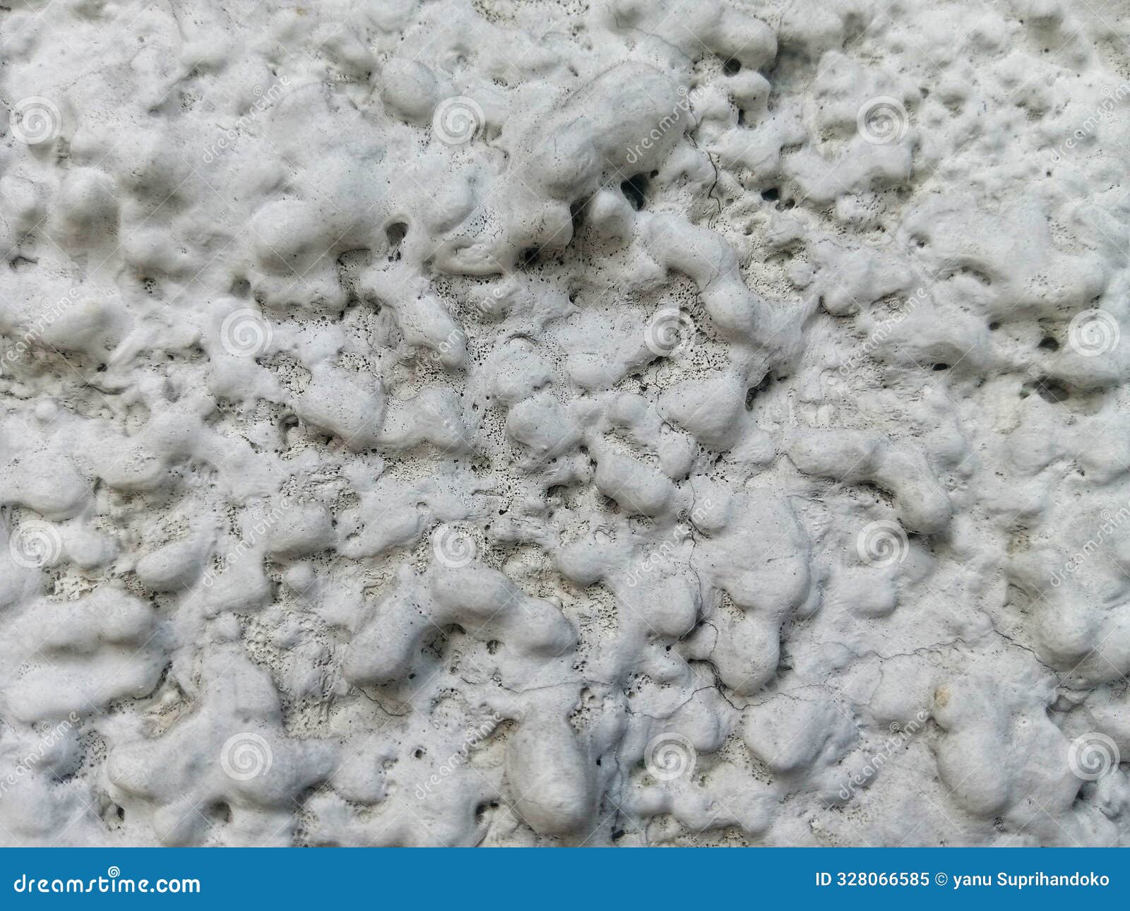 The Texture of the Exterior Walls of the House is Unique and Difficult ...