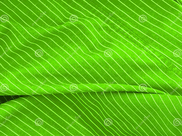 The Texture of the Fabric in the Form of Green Lines Stock Photo ...