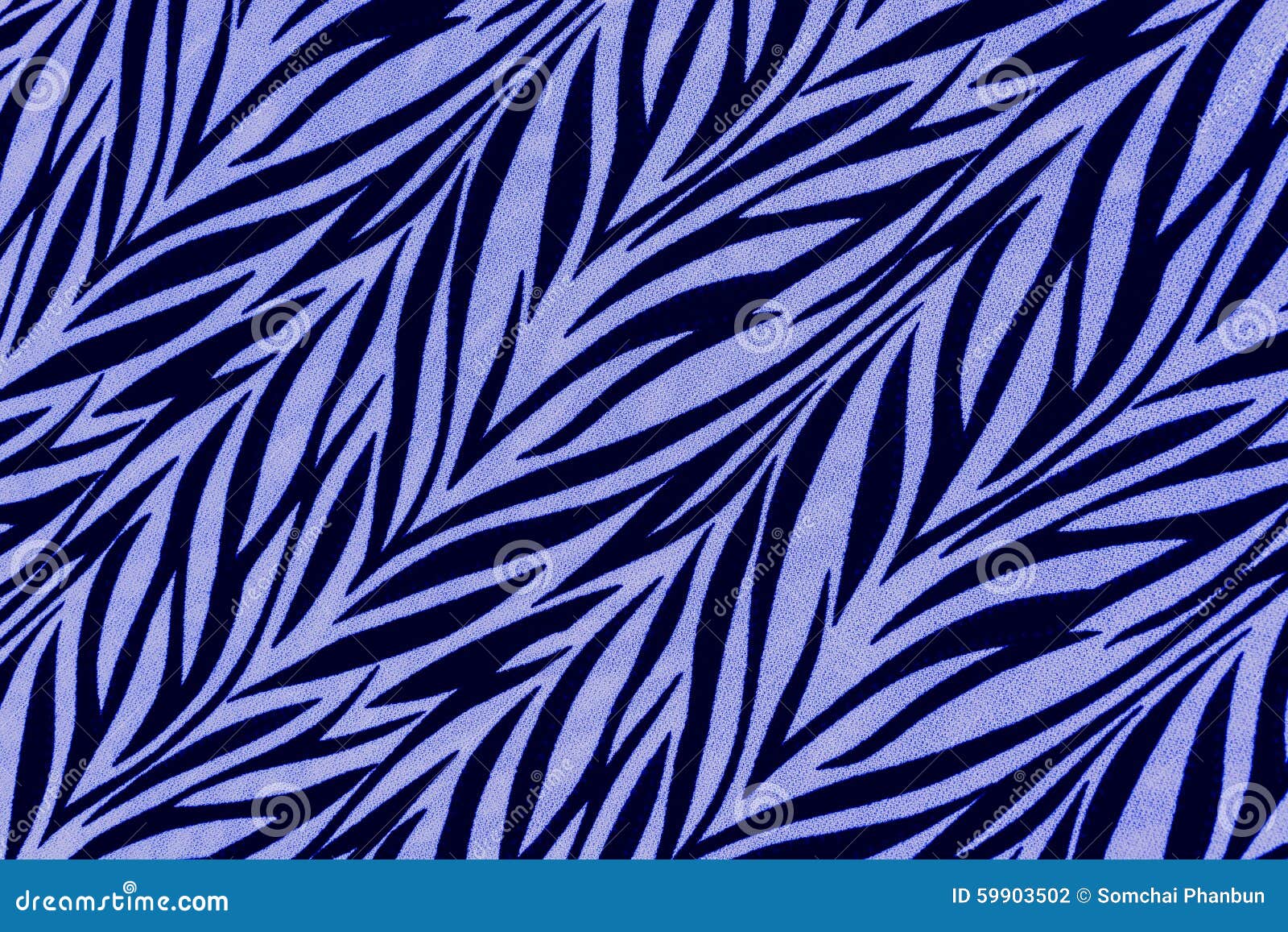 Texture of Fabric Stripes Zebra Stock Photo - Image of wallpaper ...