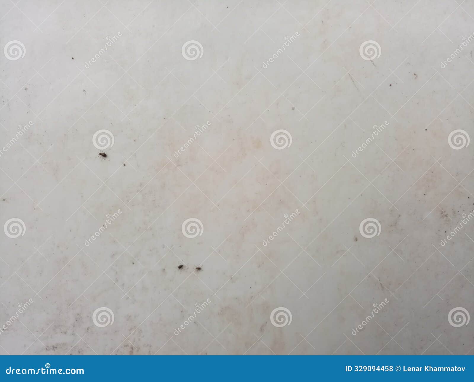 Texture and Fancy Pattern of Old Polished White Grey Marble Slab with ...