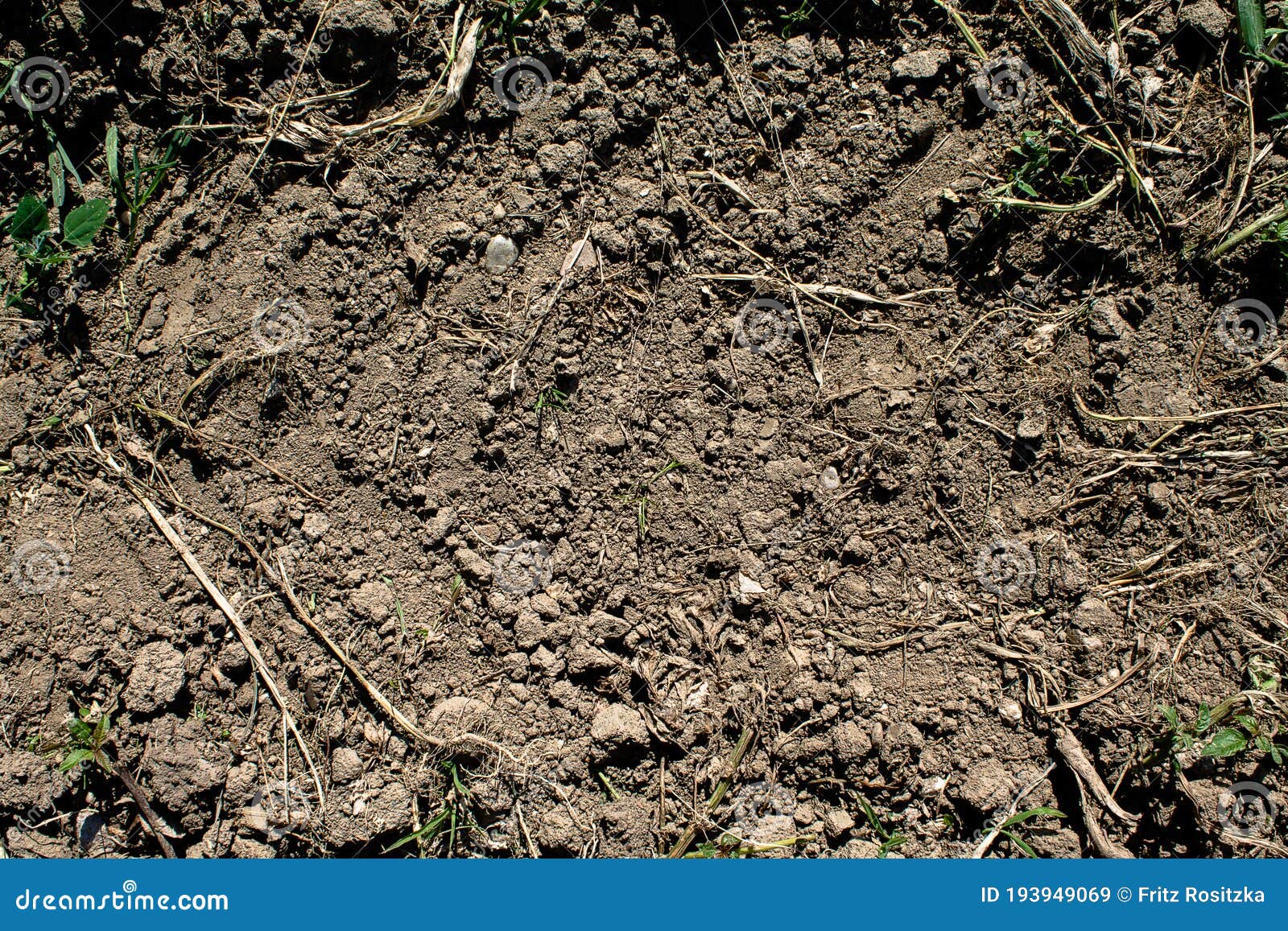 Texture farmland stock image. Image of agriculture, background - 193949069
