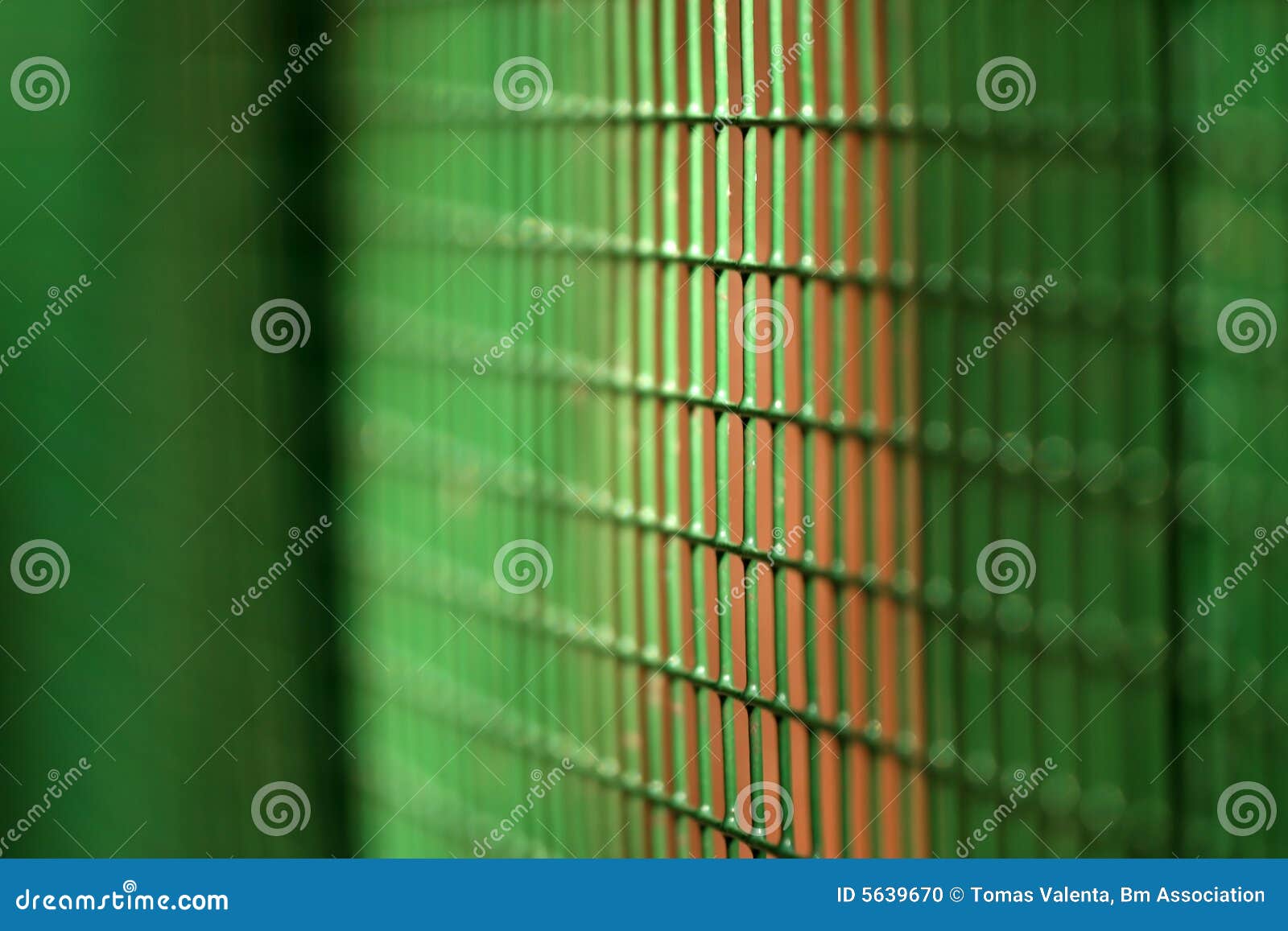Texture of fence - DOF stock photo. Image of abatis, colored - 5639670
