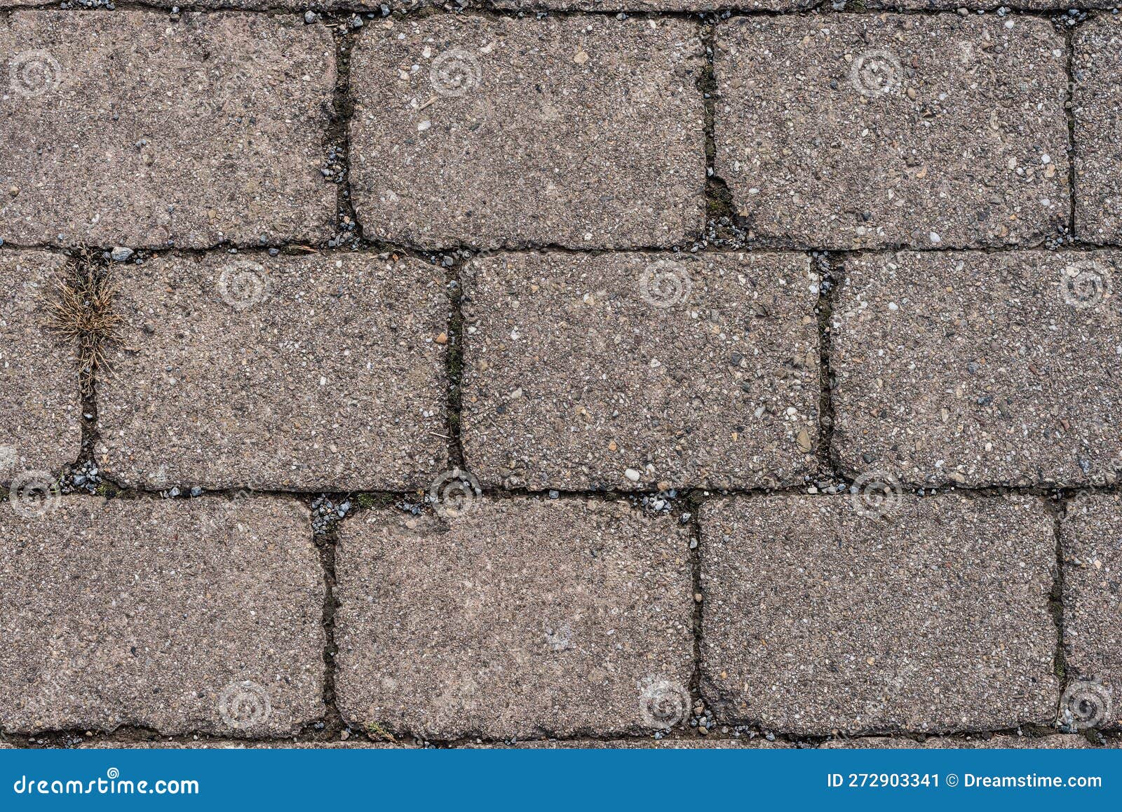 Texture Figured Paving Slabs. Seamless Texture. High Resolution ...
