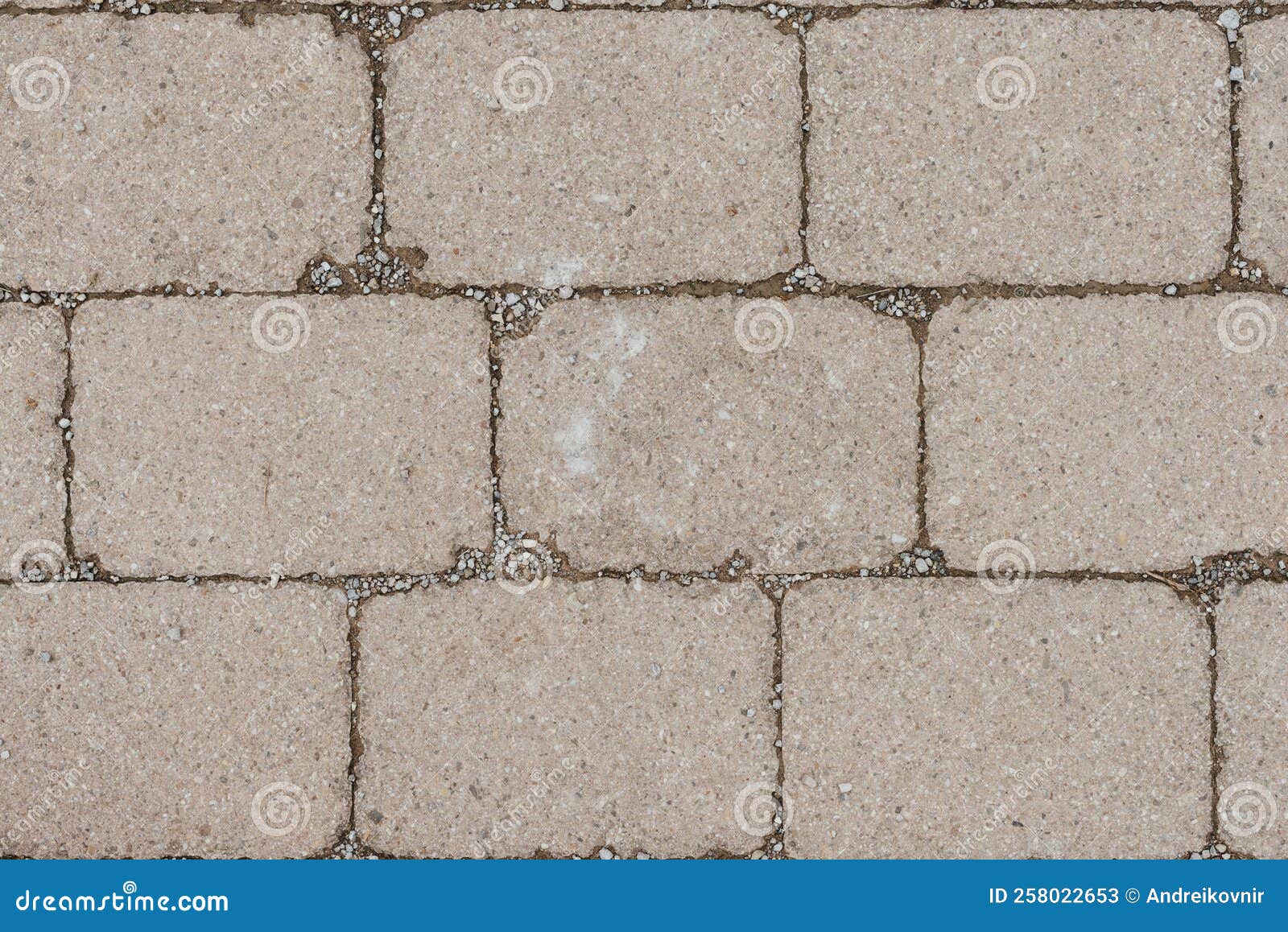 Texture Figured Paving Slabs. Seamless Texture. High Resolution Stock ...