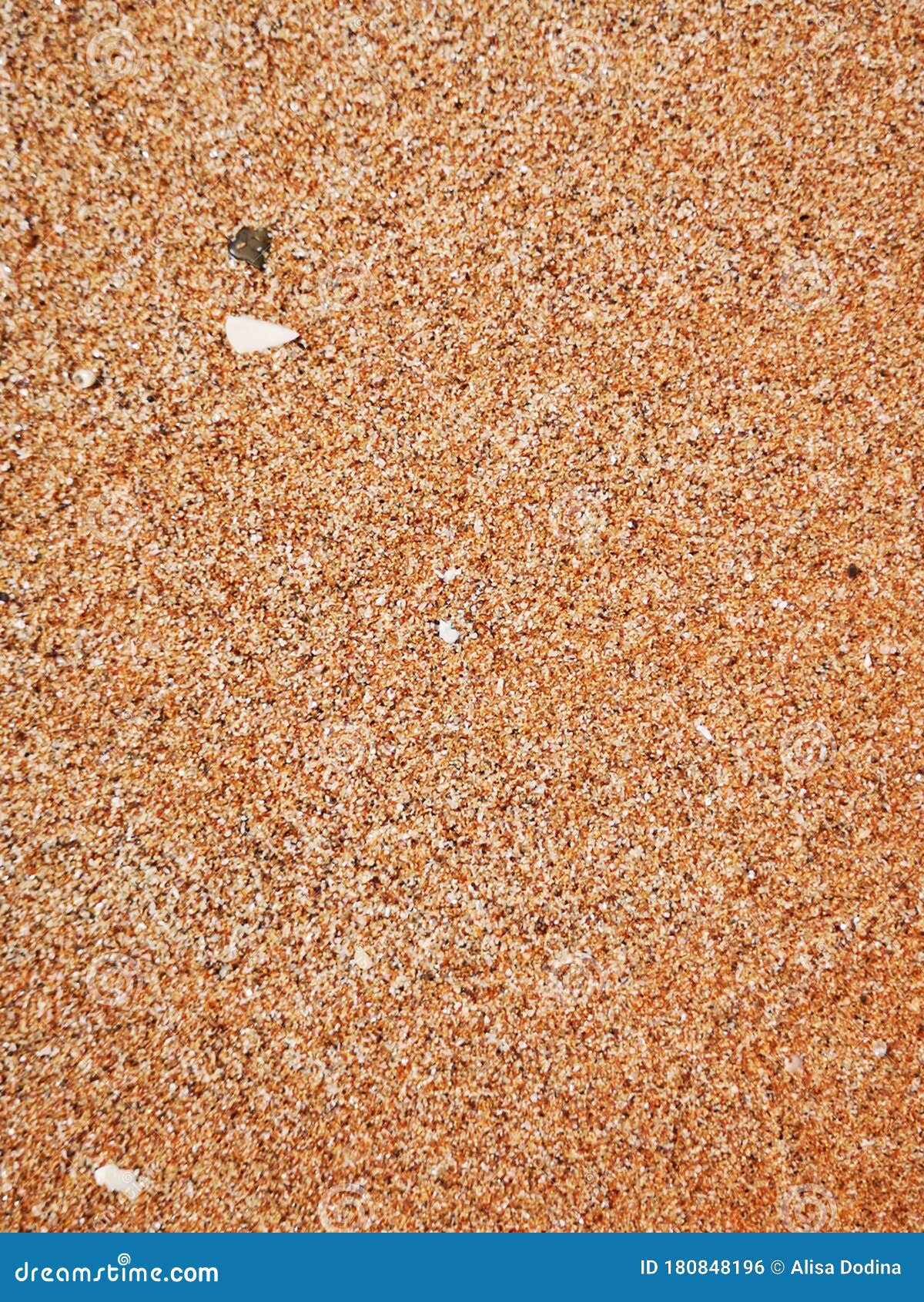 Texture of Fine Golden Coastal Sand. Lines in the Sand of a Beach Stock ...