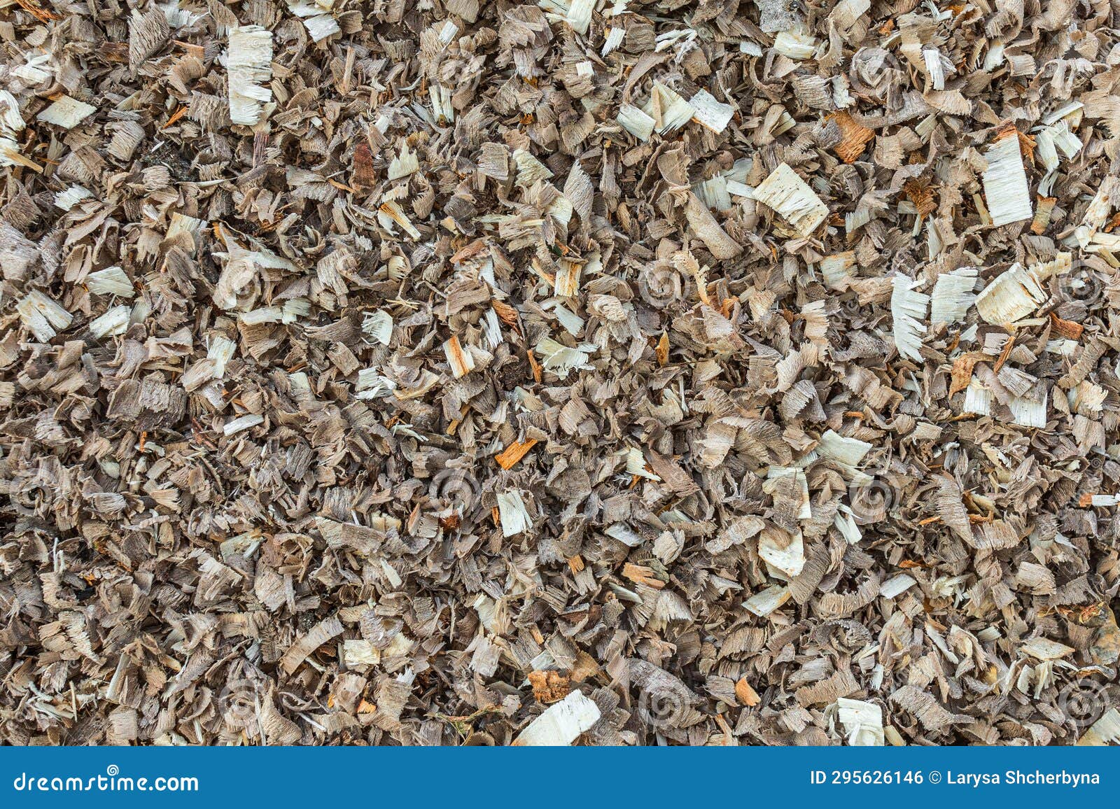 The Texture of Fine Sawdust in a Carpentry Workshop Stock Photo - Image ...