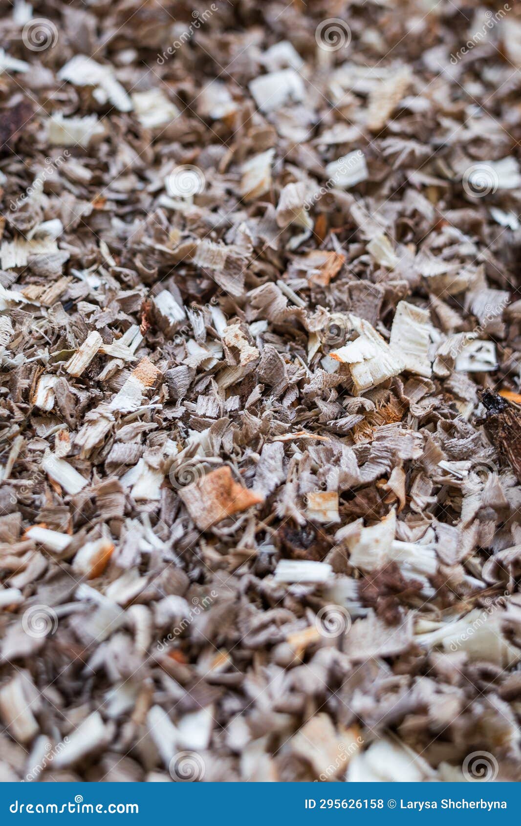 The Texture of Fine Sawdust in a Carpentry Workshop Stock Photo - Image ...