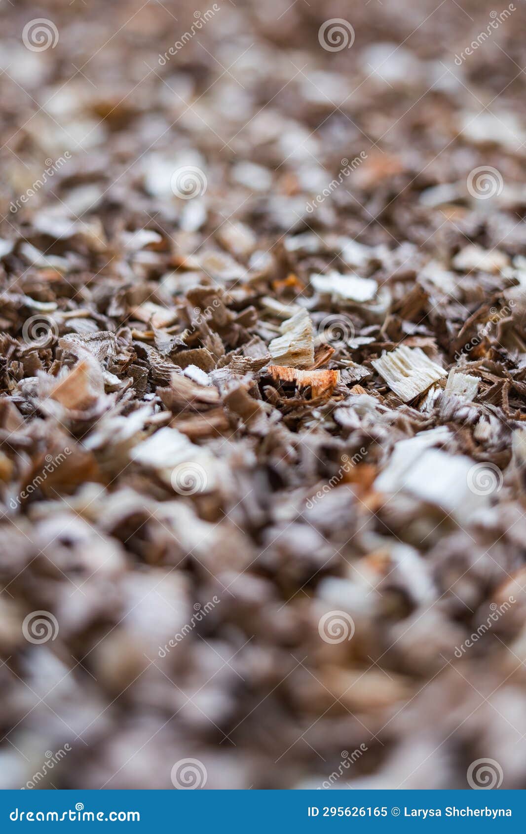 The Texture of Fine Sawdust in a Carpentry Workshop Stock Image - Image ...