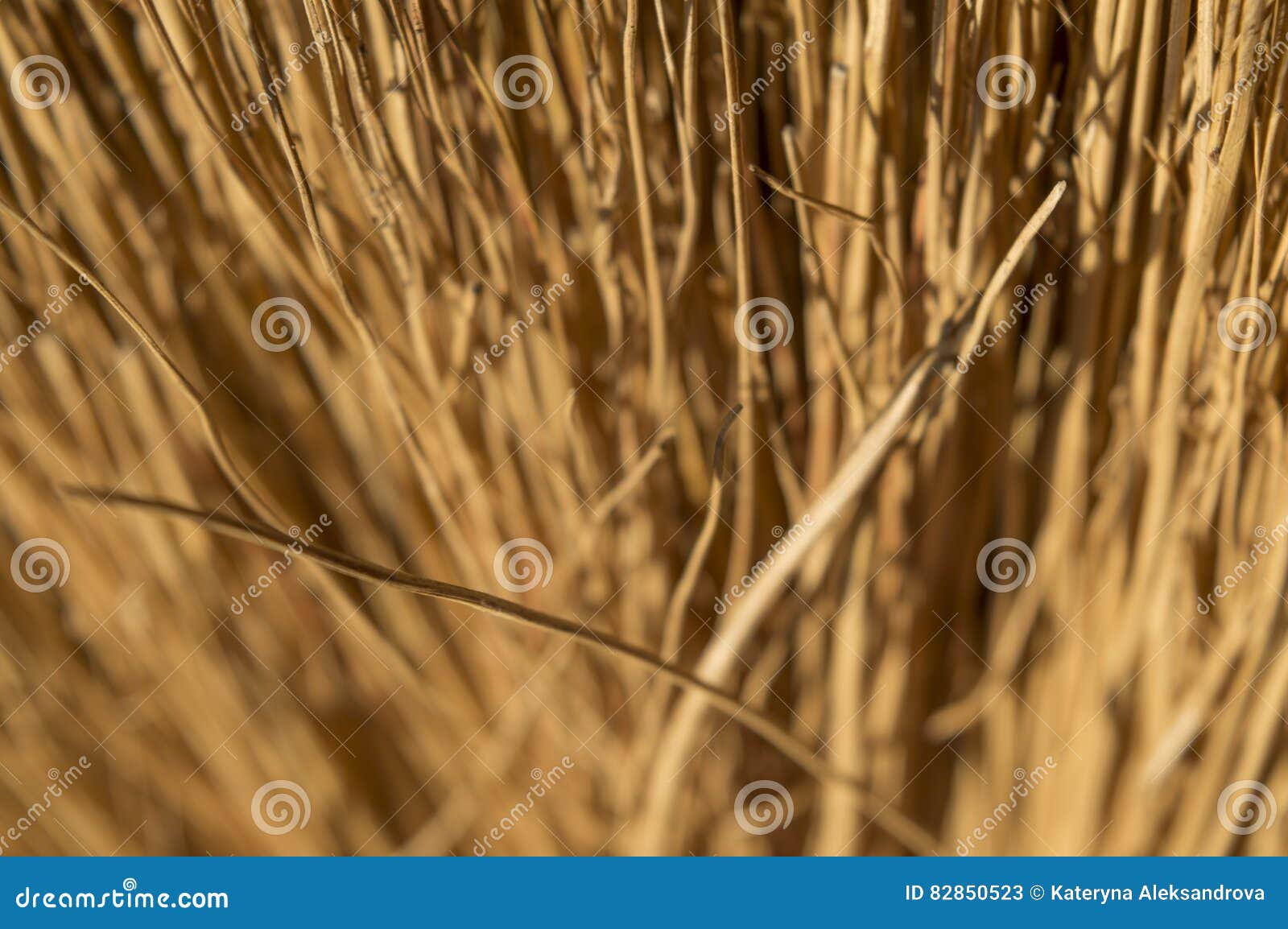 Texture of Fine Yellow Rods Lying Together in the Same Direction Stock ...