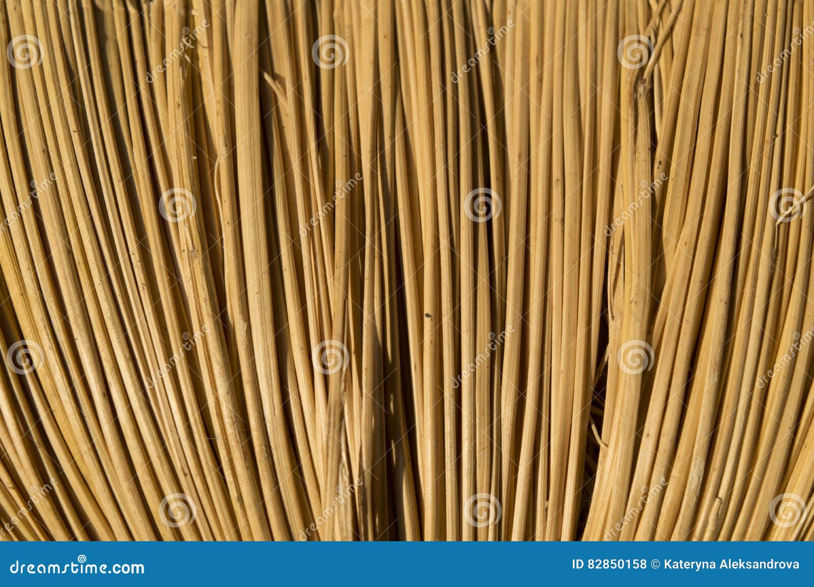 Texture of Fine Yellow Rods Lying Together in the Same Direction Stock ...