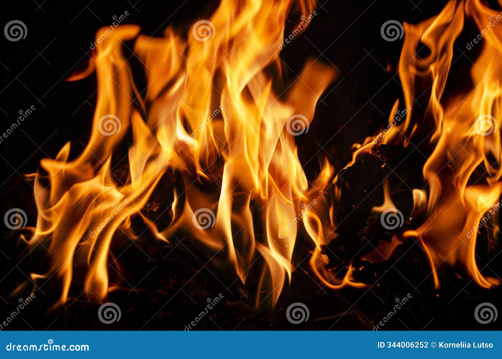 Texture of Fire on a Black Background. Burning Red Fire. Large Bonfire ...