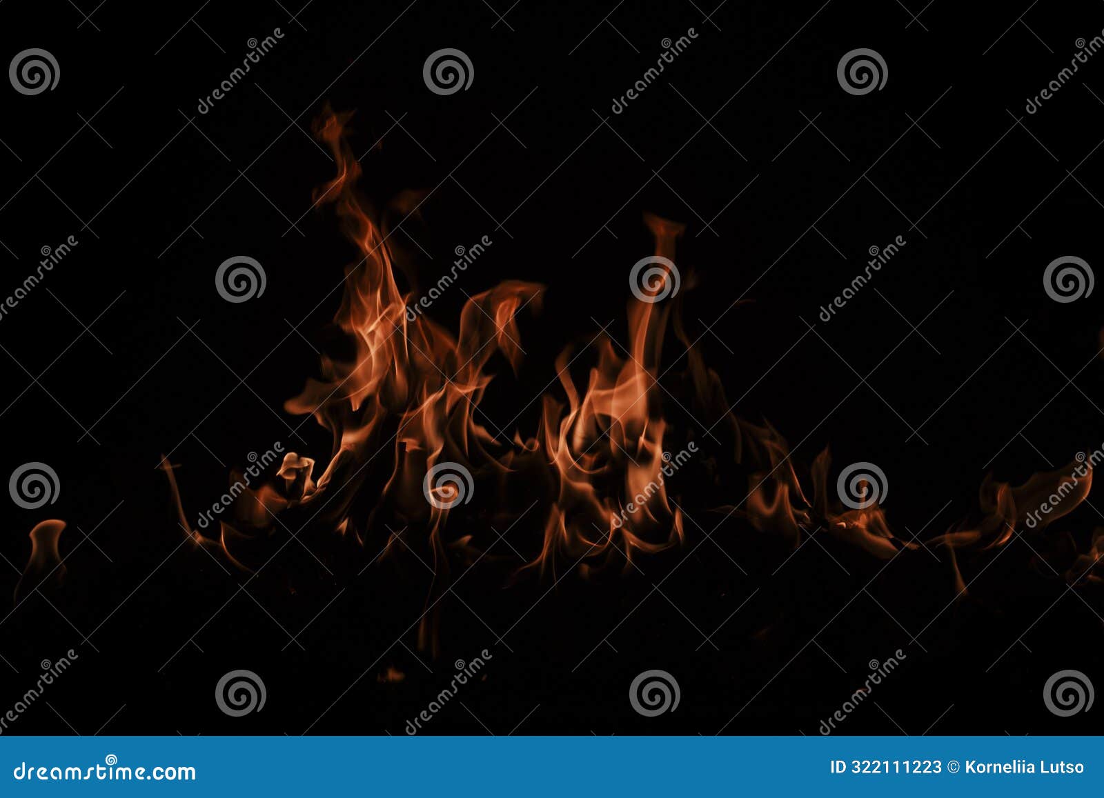 Texture of Fire on Black Background. Hell Bonfire. Texture of Fire on a ...