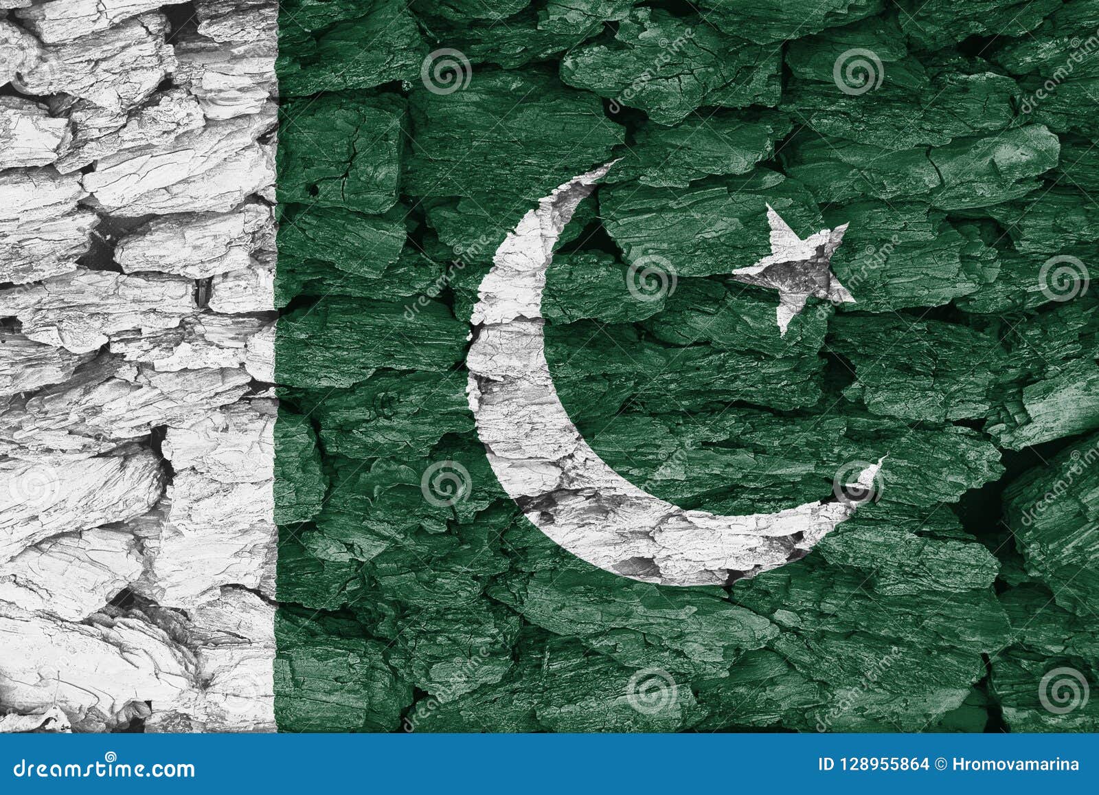 Texture of the Flag of Pakistan on Bark Stock Illustration ...
