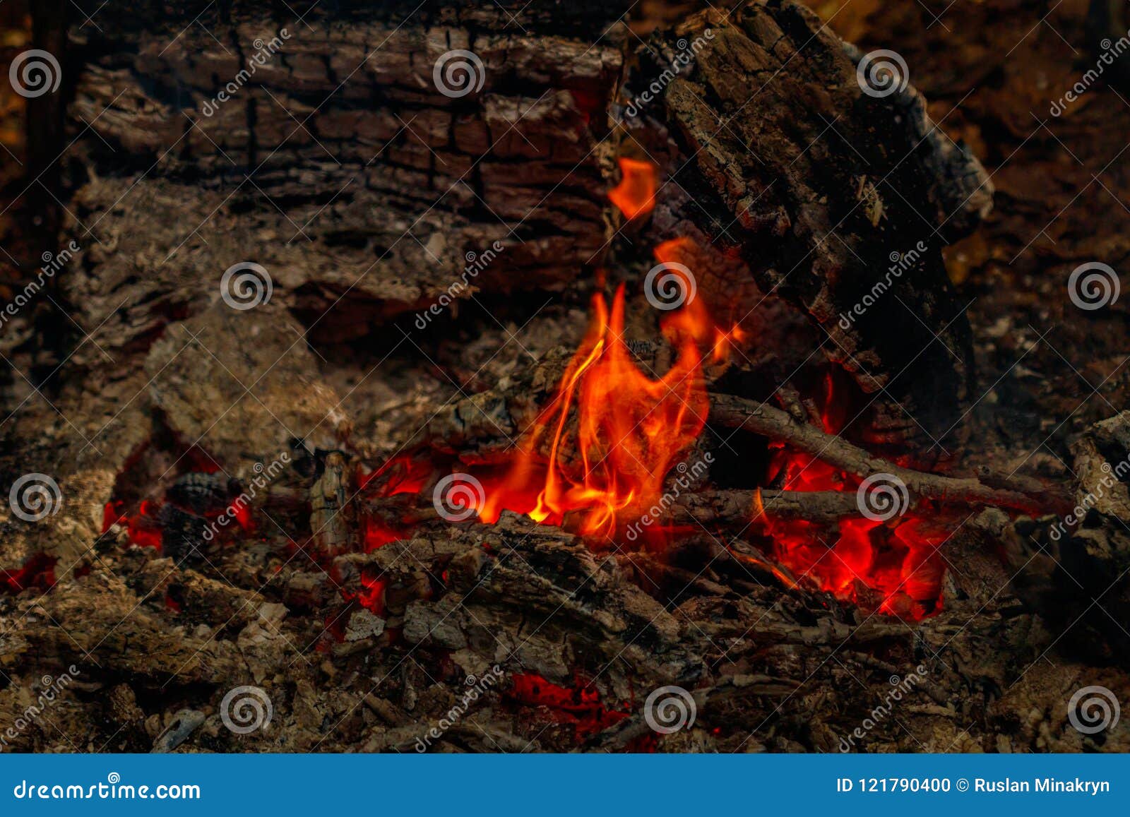 Texture Flame from Burning Logs at Night Stock Photo - Image of ...