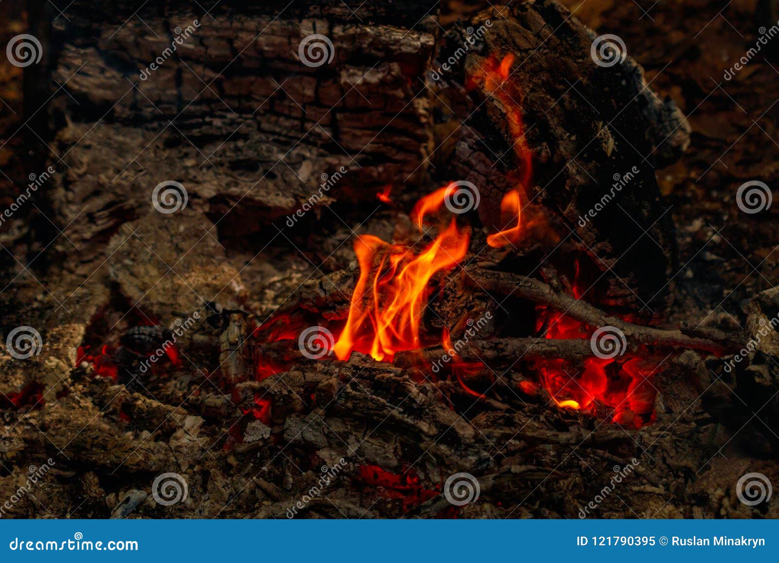 Texture Flame from Burning Logs at Night Stock Image - Image of camping ...