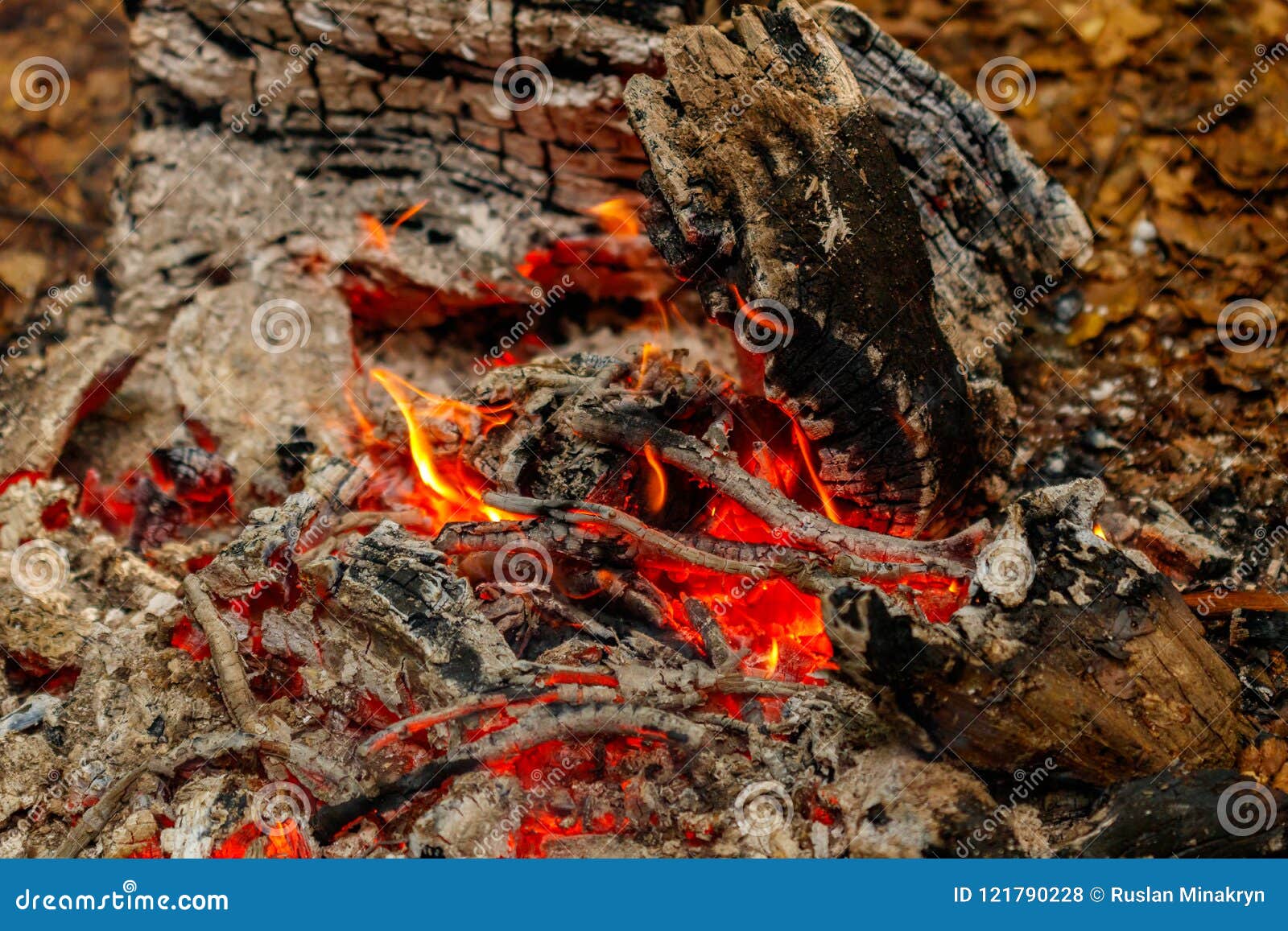 Texture Flame from Burning Logs at Night Stock Photo - Image of ...