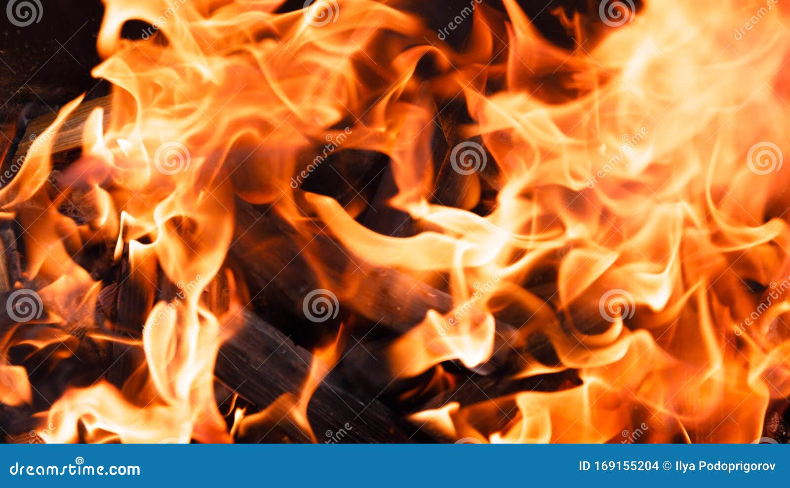 Texture of a Flame of Fire on a Black Background. Burning Fire in a ...