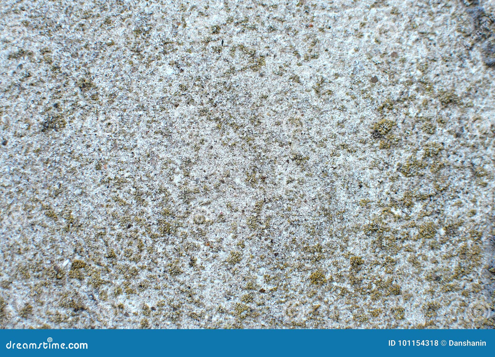 Texture of Flat Cement Wall Close Up Stock Photo - Image of closeup ...