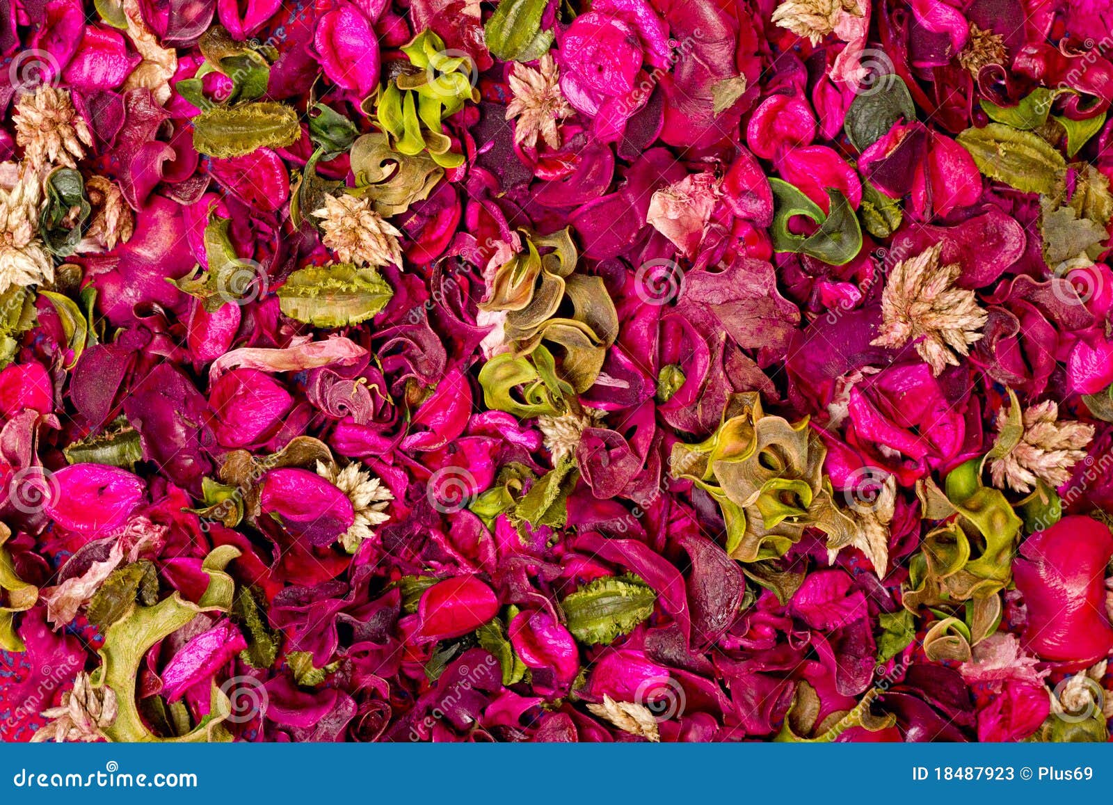 Texture floral rug stock image. Image of saturated, fragrance - 18487923