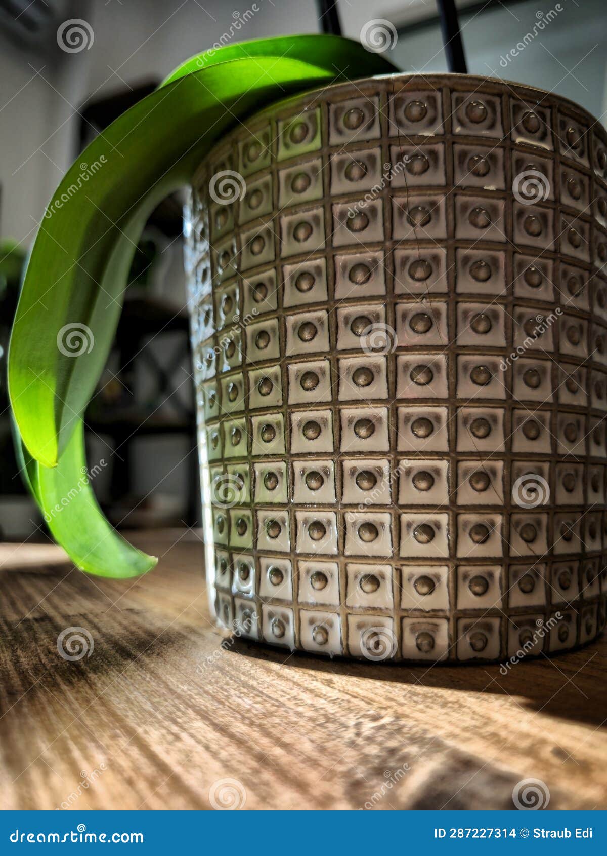 Texture of a Flower Pot on a Table Stock Photo - Image of shadows ...