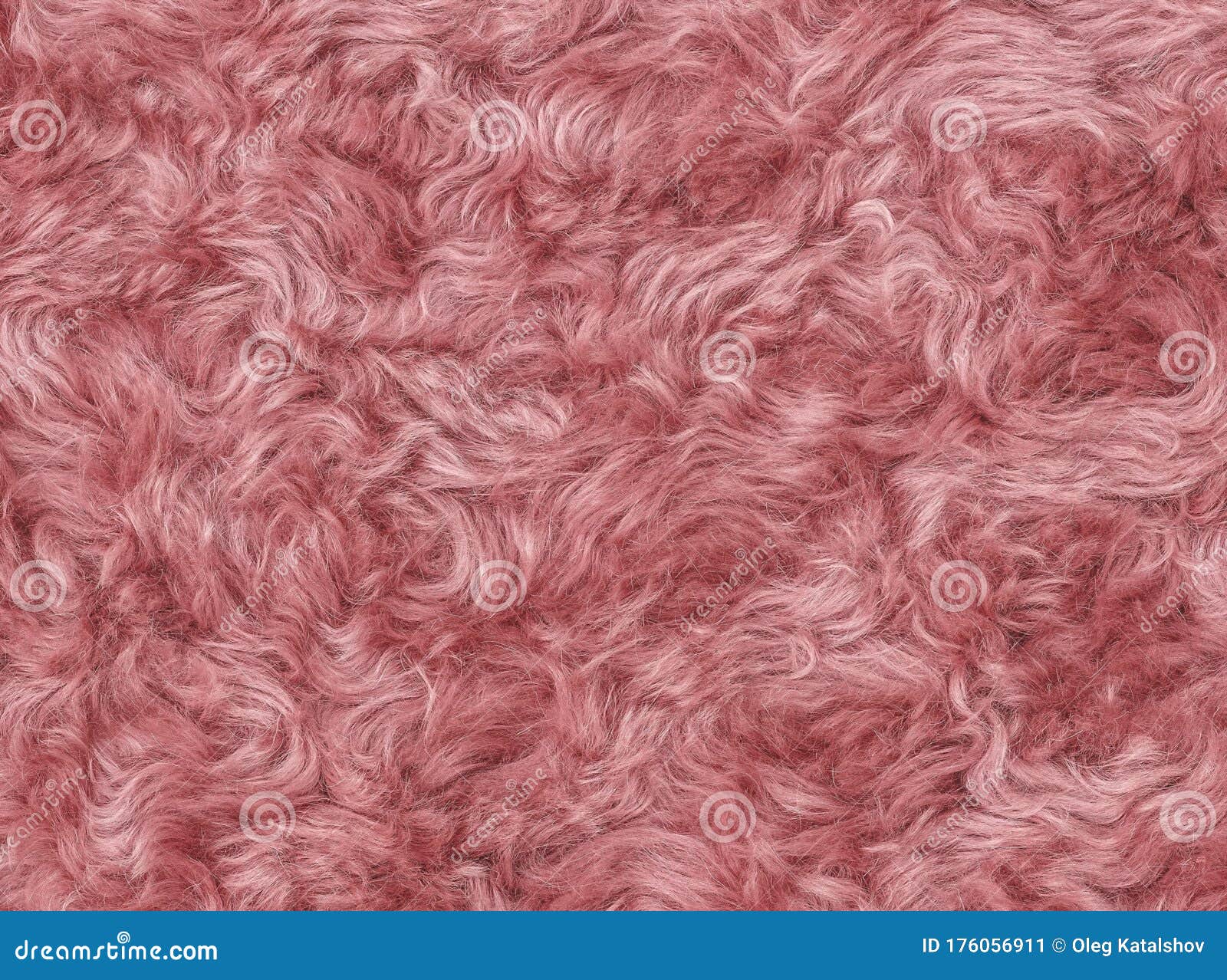 The Texture of a Fluffy Coat. Pink Wool Wallpaper. Stock Image - Image ...