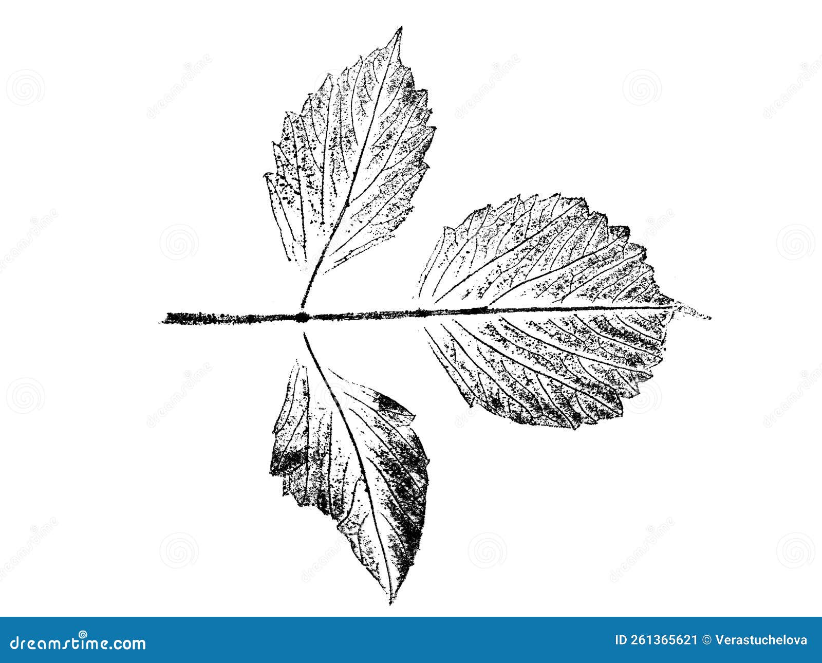 Leaf Texture Imprint on White Paper Stock Image - Image of decorative ...