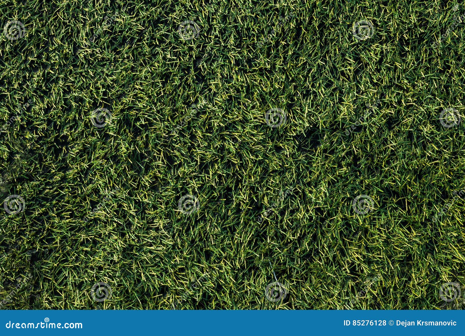 Texture of a Football Grass Stock Photo - Image of nature, background ...
