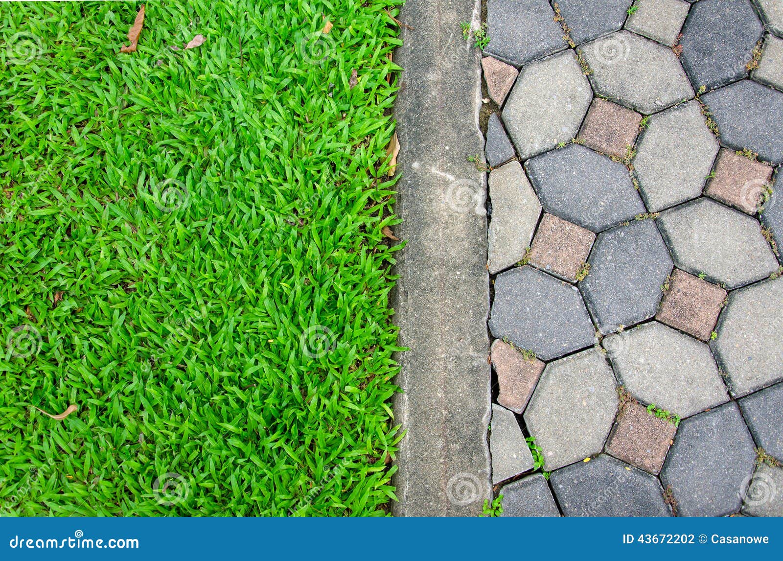 Texture of Footpath Road and Grass Field Stock Photo - Image of cube, jogging: 43672202