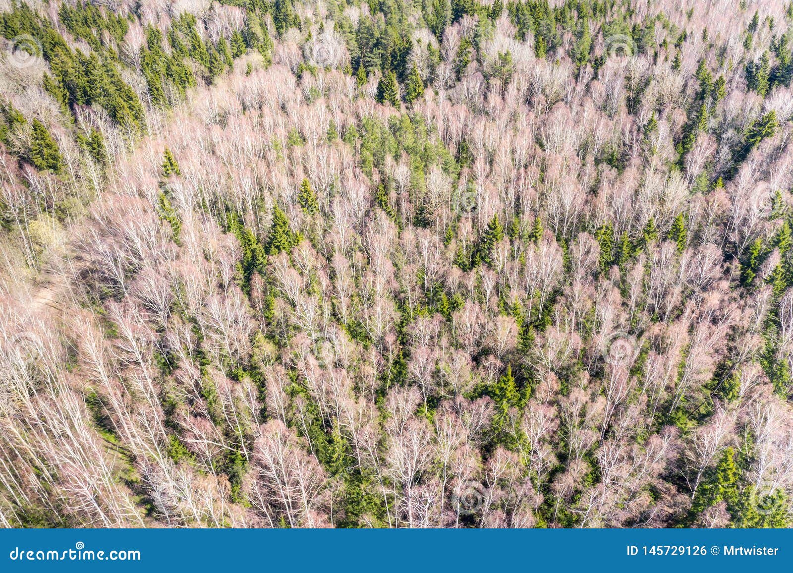 Texture of Forest View from Above. Forest Pattern. Aerial View Stock ...
