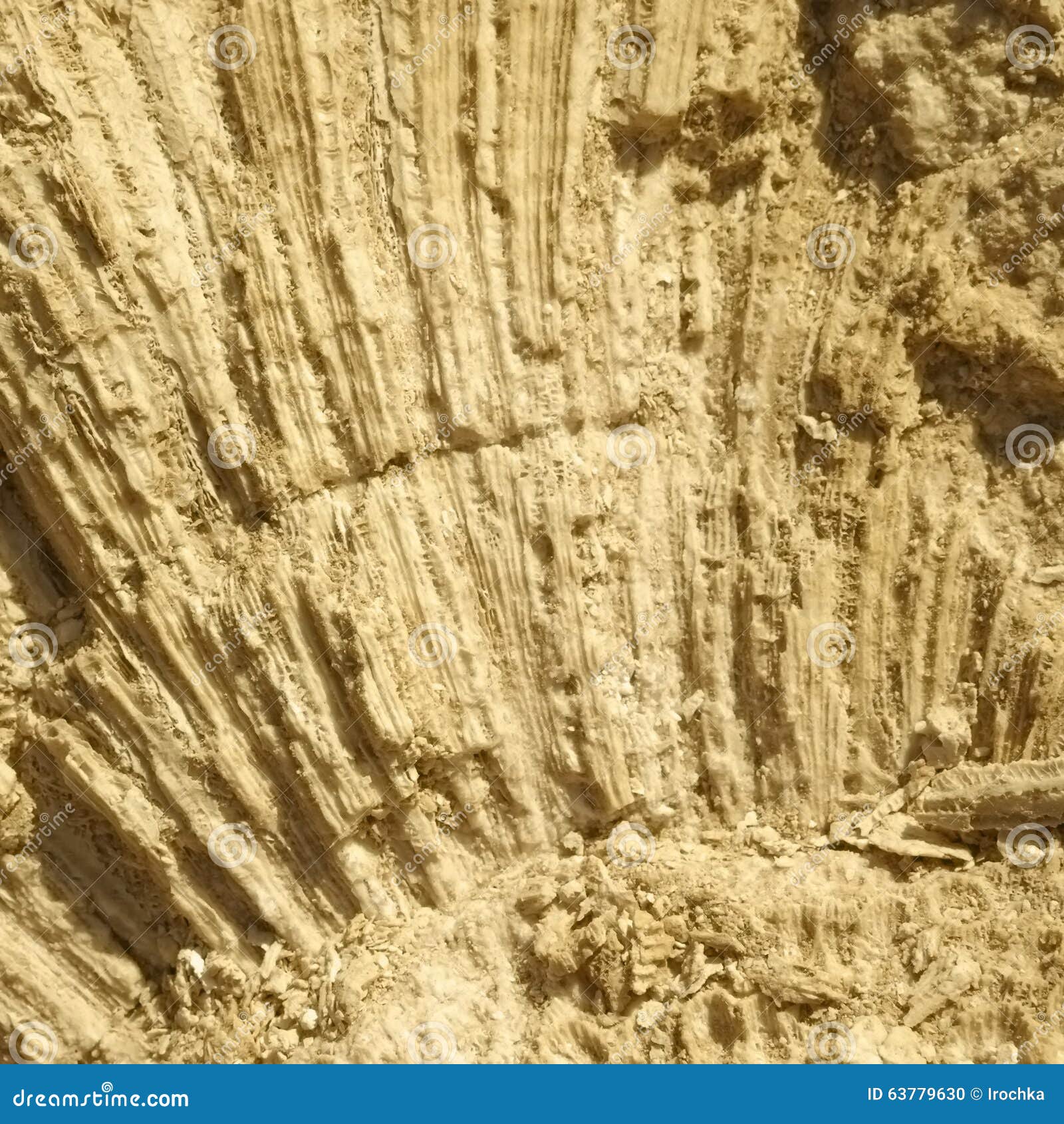 Corals Of The Red Sea In The Coastal Zone. Stock Image | CartoonDealer ...