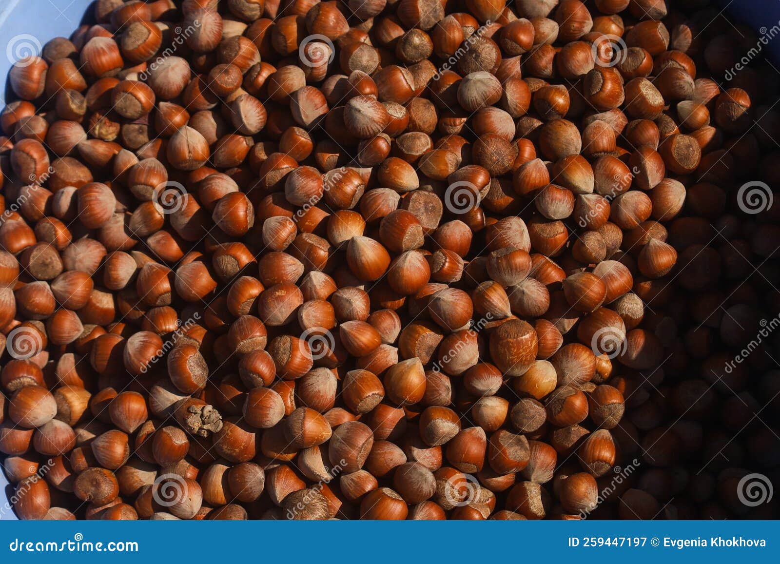Texture of fresh nuts stock image. Image of chocolate - 259447197