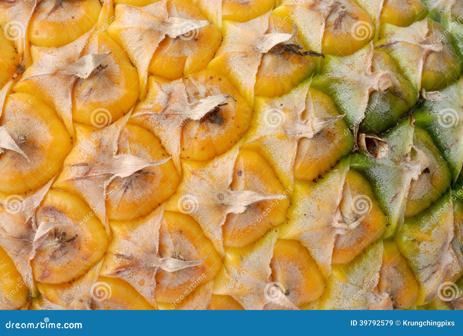 Texture of fresh pineapple stock image. Image of fruit - 39792579