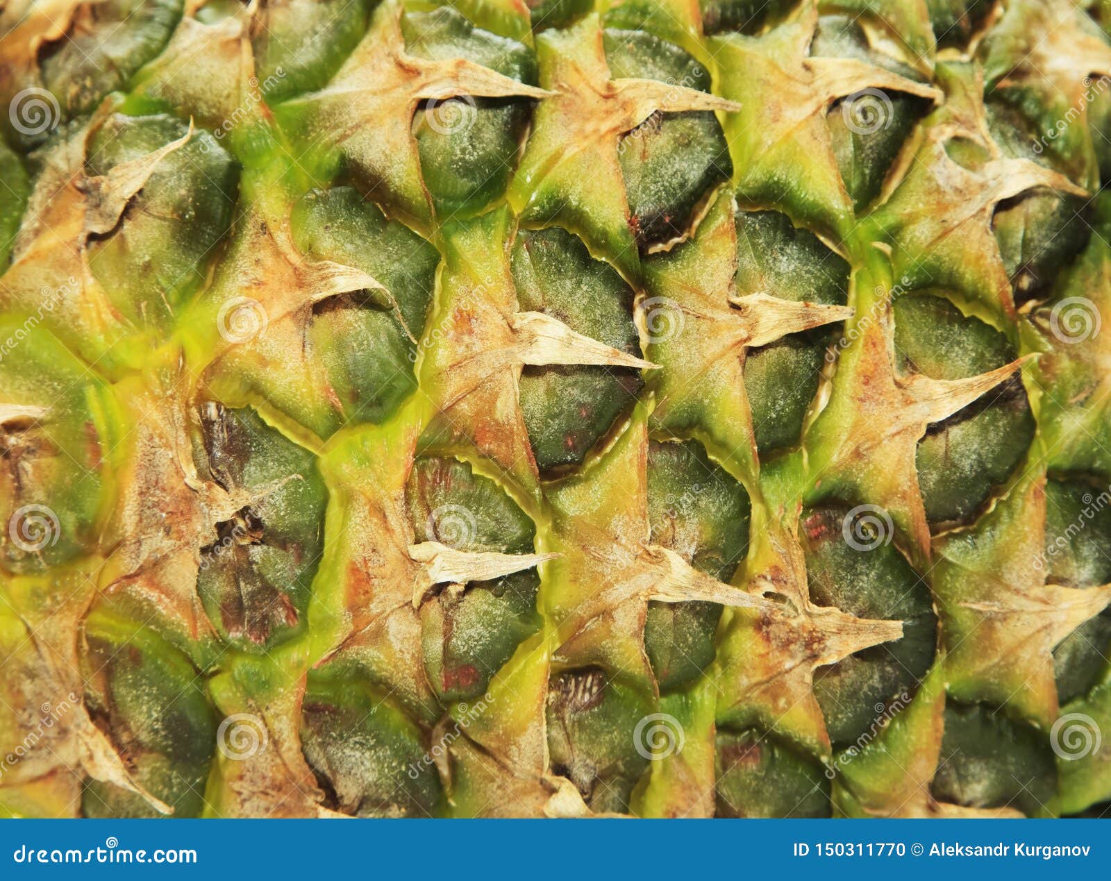 Texture of Fresh Ripe Pineapple Stock Photo - Image of background ...