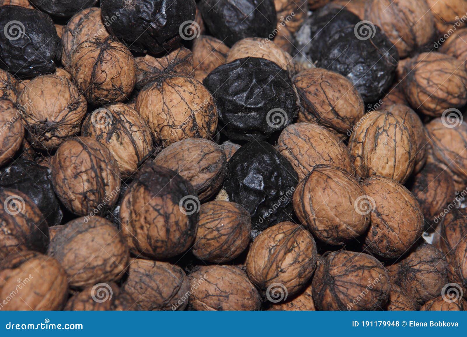 Texture of Freshly Picked Walnuts in a Thick Skin from a Walnut Tree ...