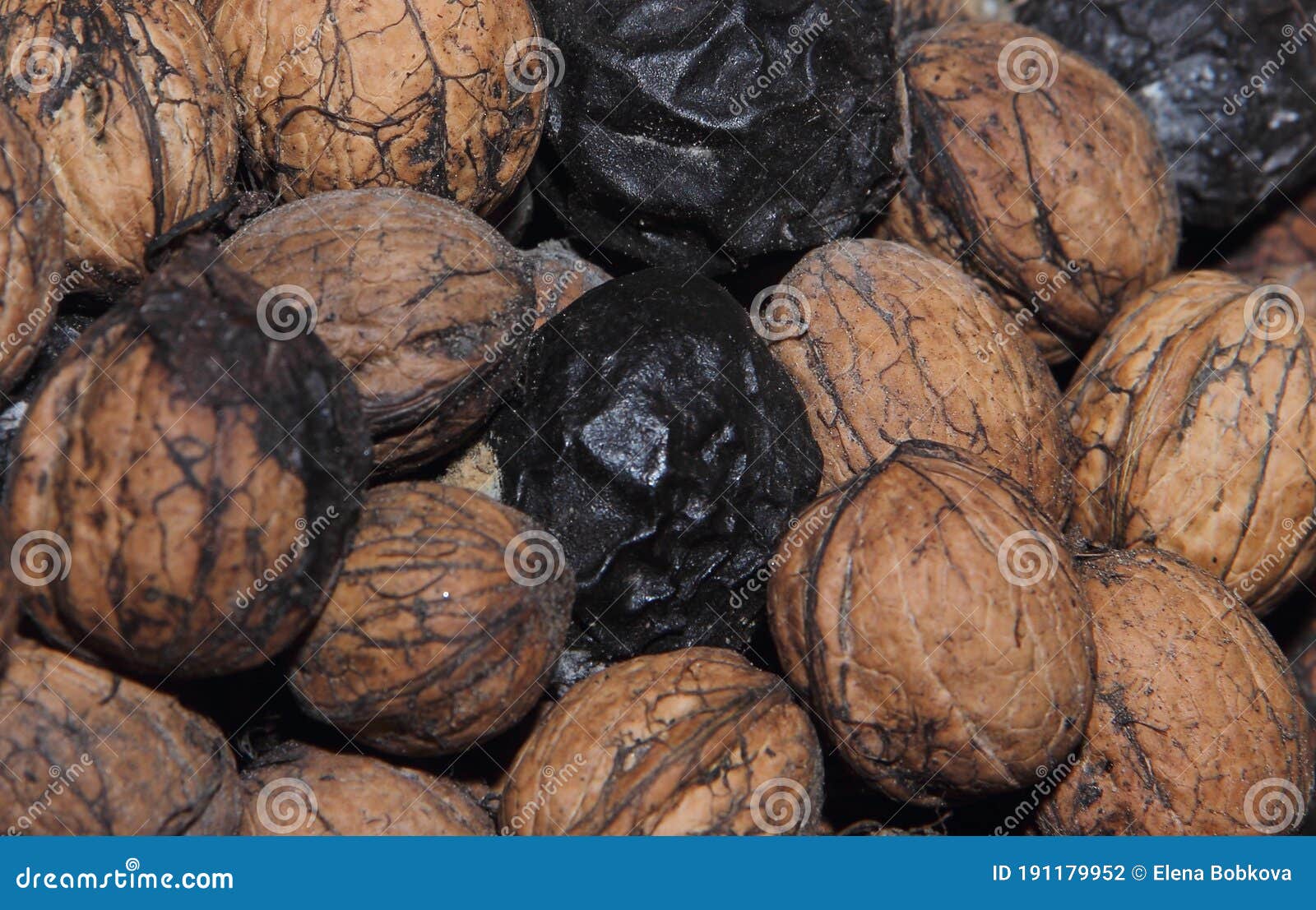 Texture of Freshly Picked Walnuts in a Thick Skin from a Walnut Tree ...