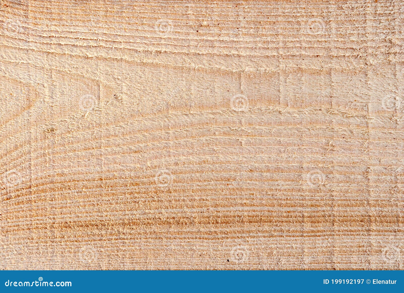 Texture of Freshly Sawn Wood, Background, Closeup Stock Image - Image ...