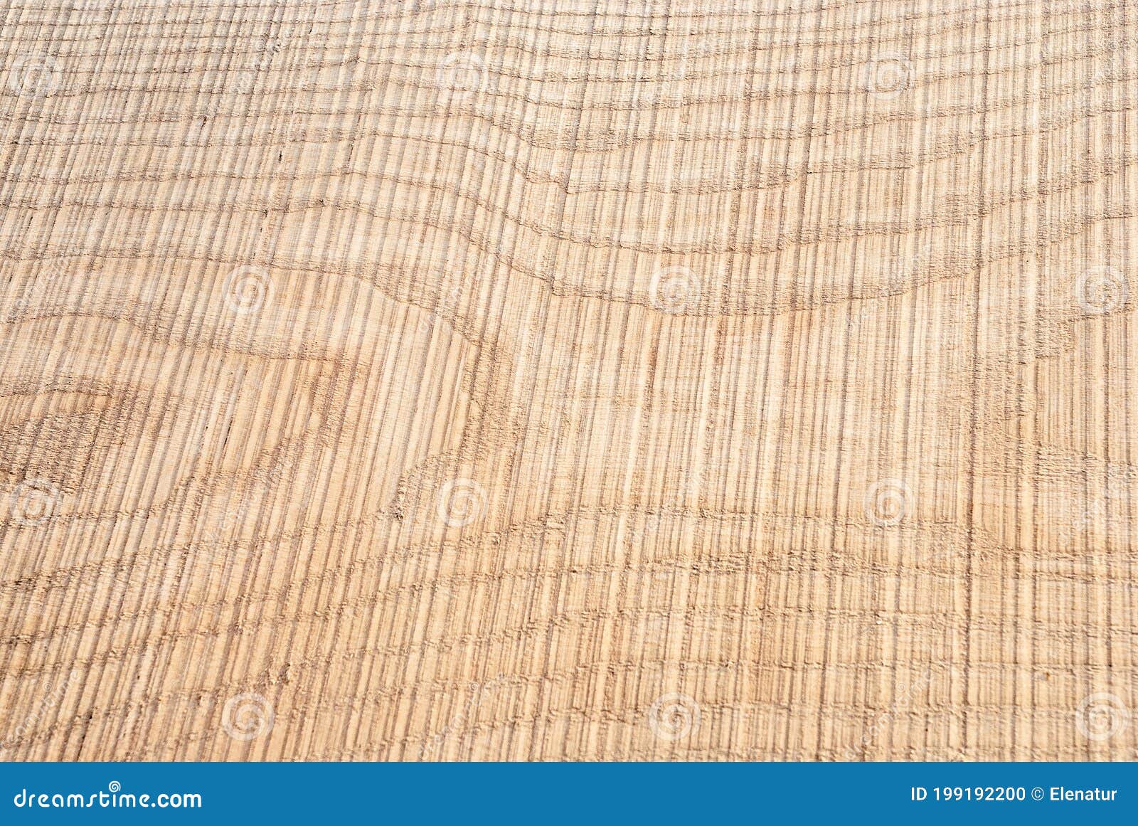 Texture of Freshly Sawn Wood, Background, Closeup Stock Photo - Image ...