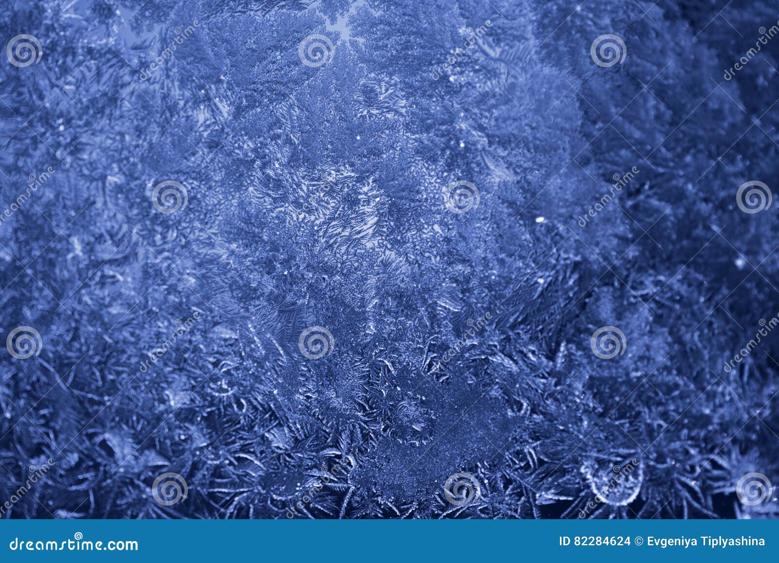 Texture of frost stock photo. Image of ornament, frozen - 82284624