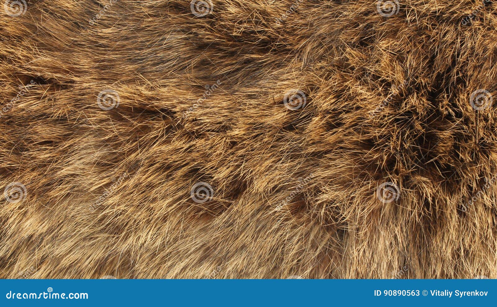 Texture of Fur - Fox - High Resolution Stock Image - Image of pattern ...