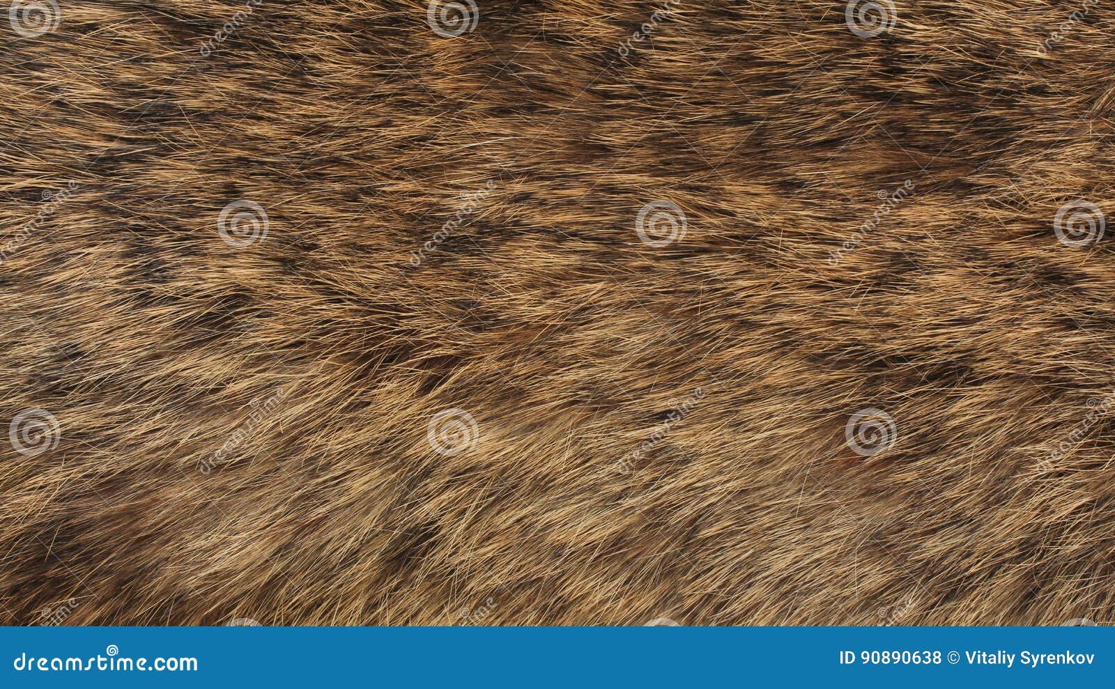 Texture of Fur - Fox - High Resolution Stock Photo - Image of luxury ...