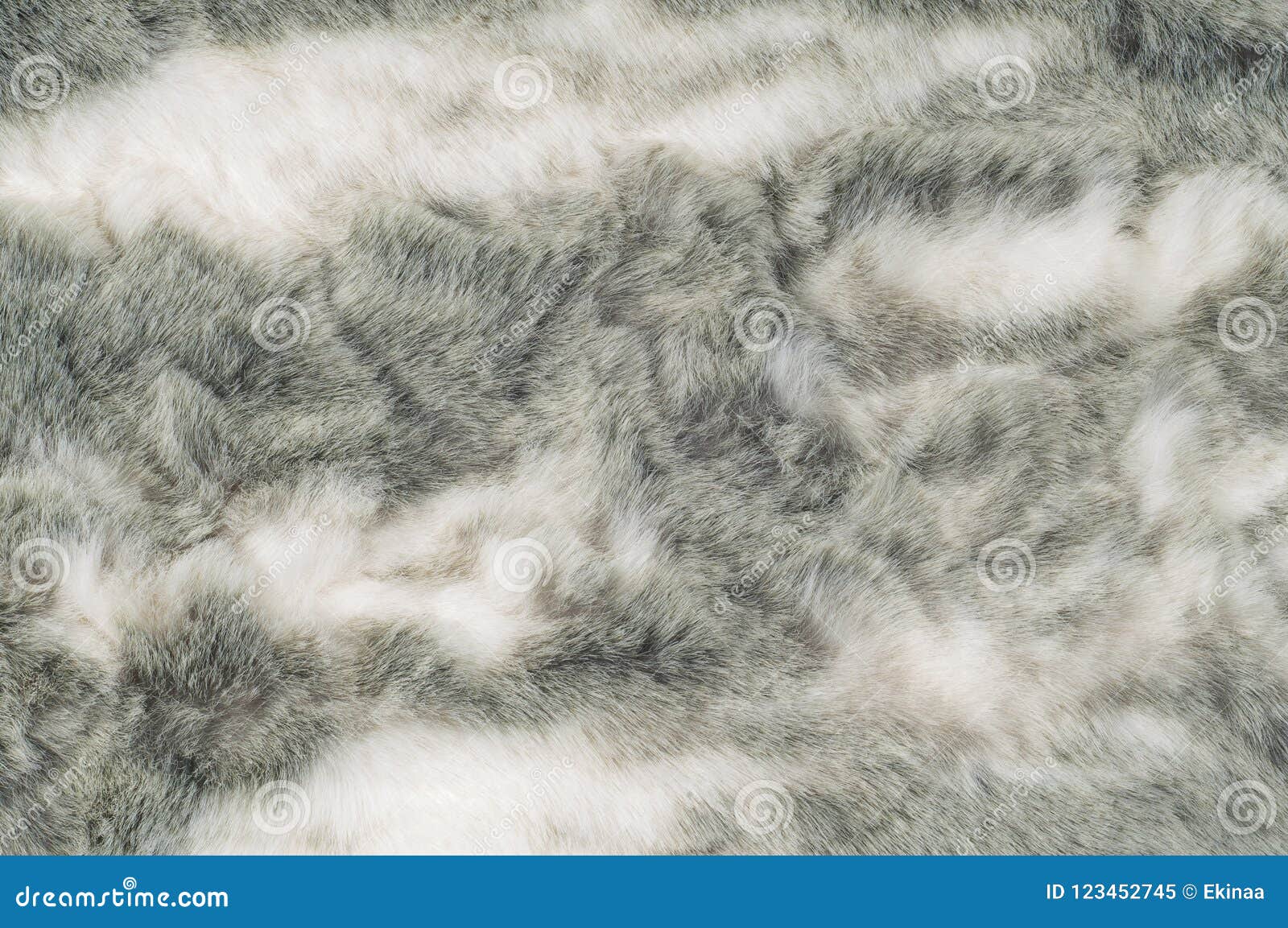 Texture. Fur. Rabbit stock image. Image of furry, hairy - 123452745