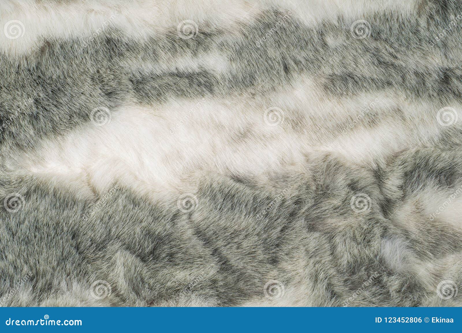 Texture. Fur. Rabbit stock photo. Image of fashion, hair - 123452806