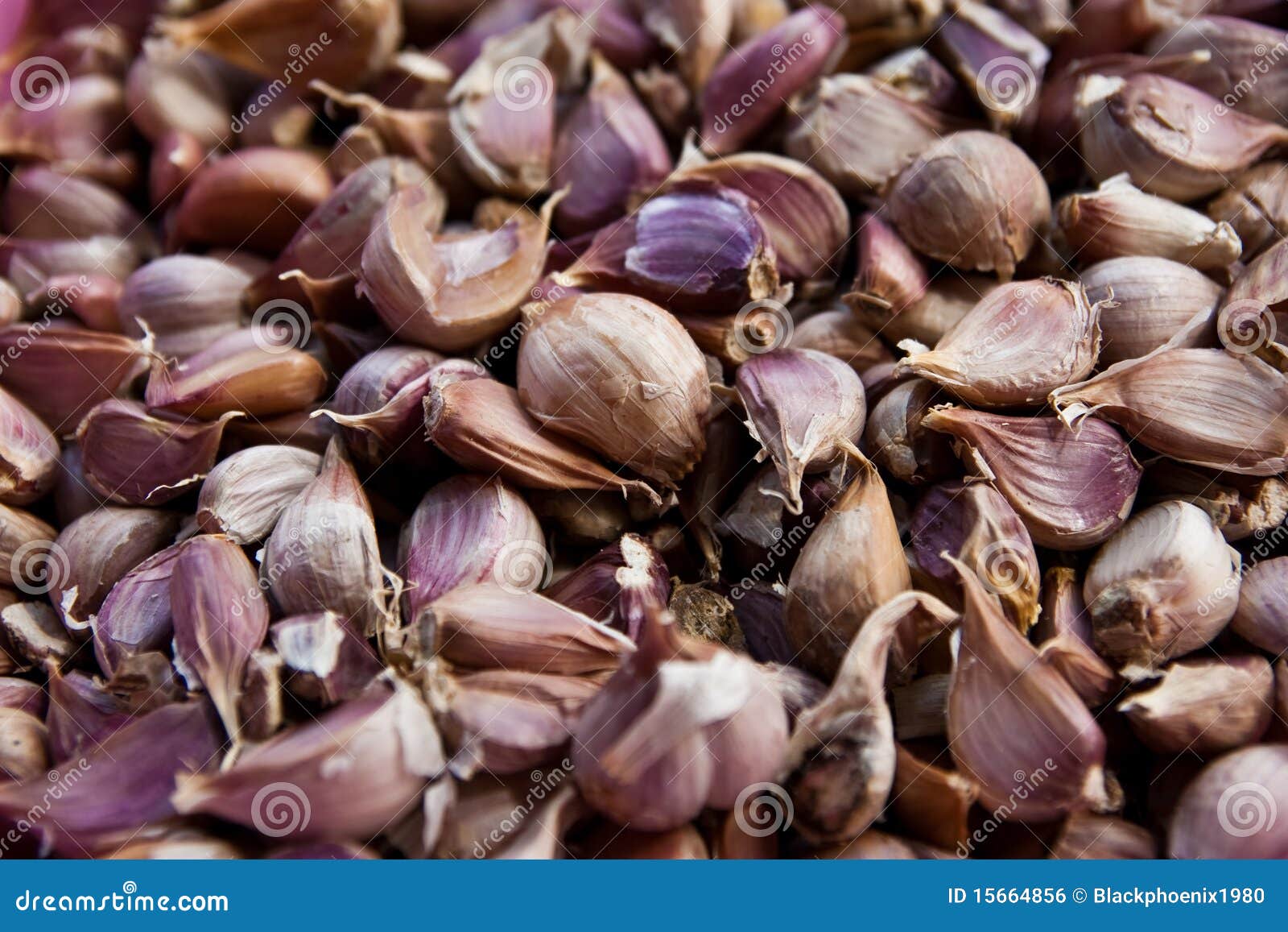Texture of garlics stock photo. Image of garlic, isolated - 15664856